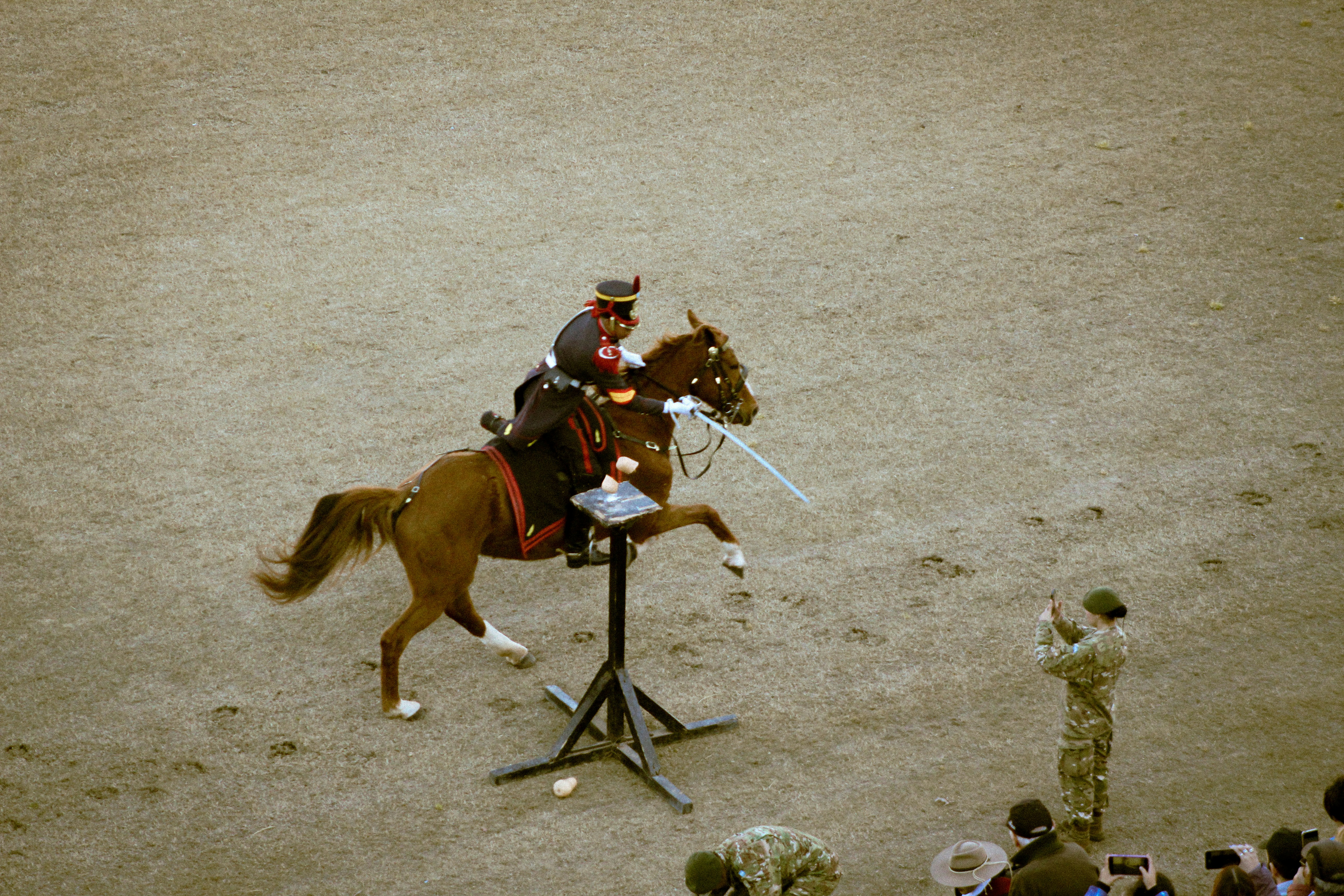 Equestrian Precision in Military Display