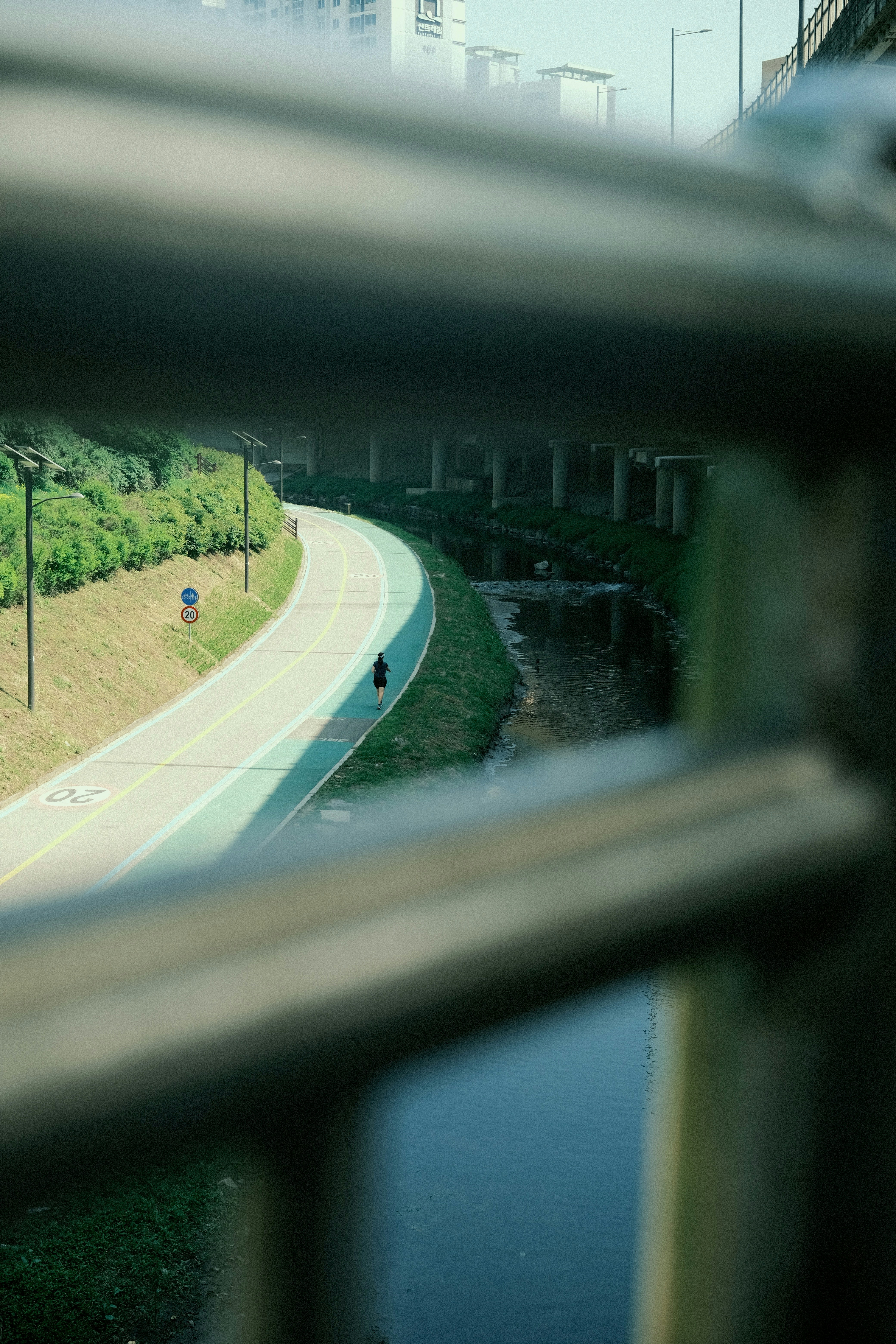 Urban Serenity: A Path Less Traveled