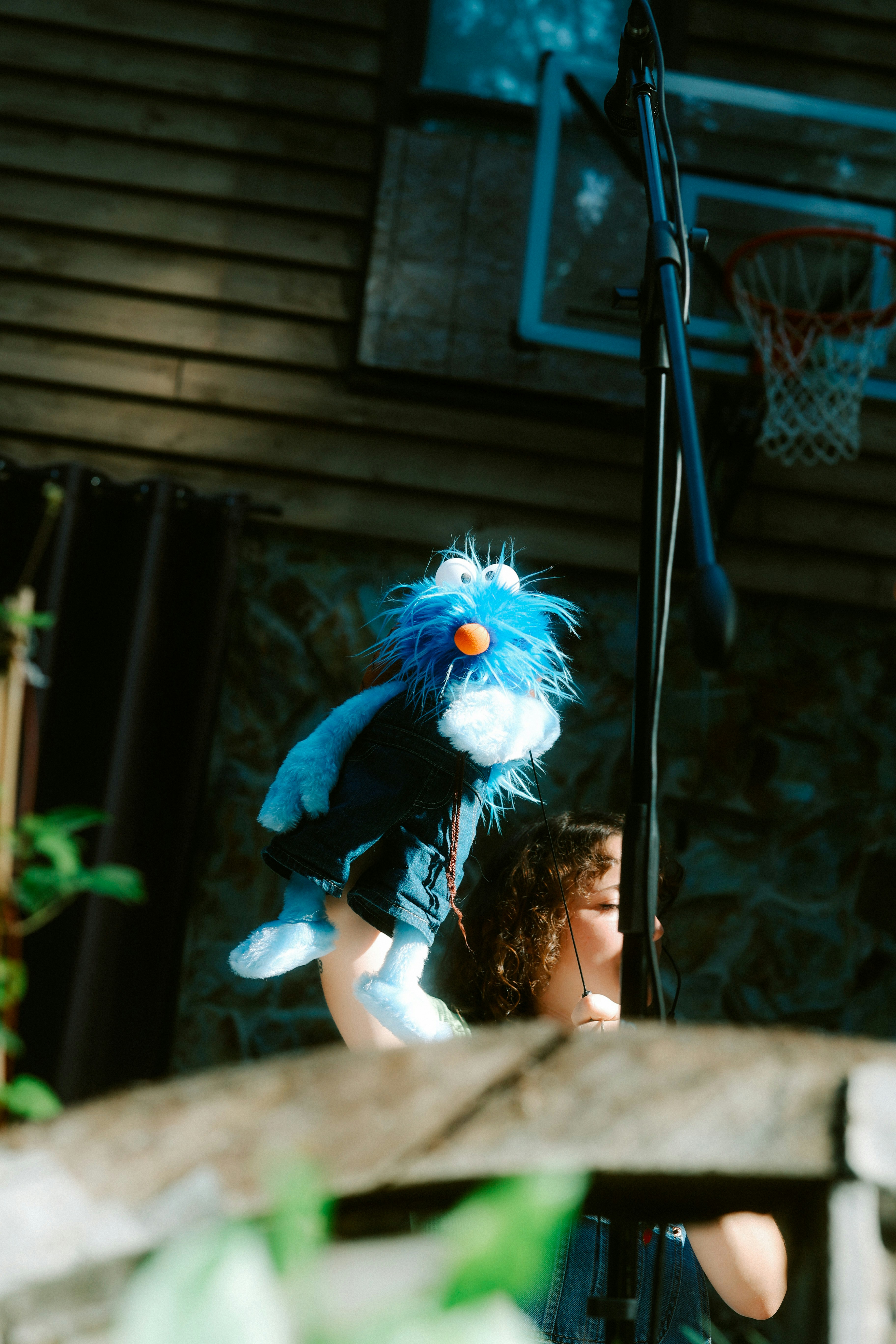 Backyard Spotlight: A Fluffy Blue Puppet Takes Center Court
