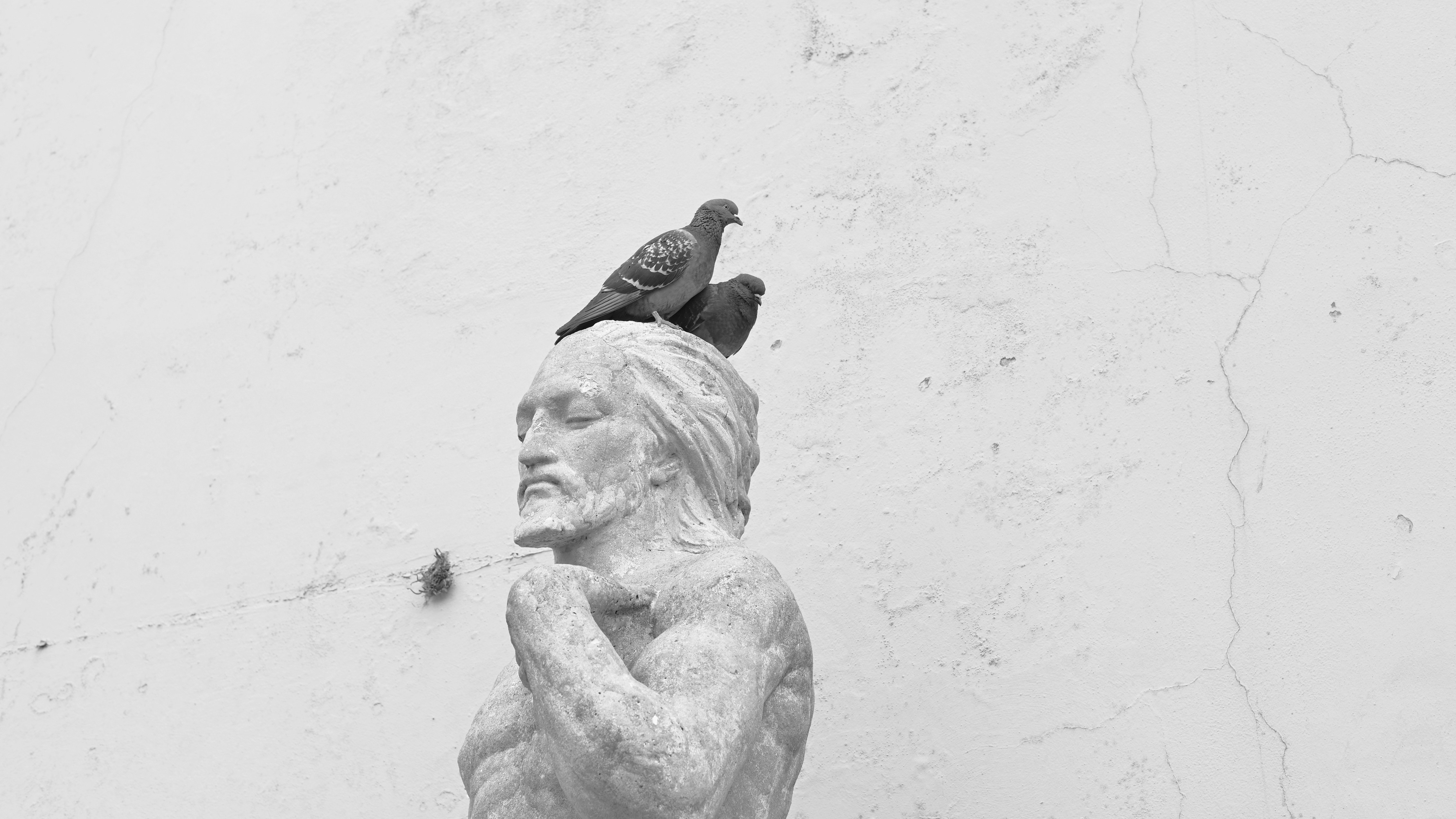 Urban Serenity: A Pigeon’s Perch on Timelessness