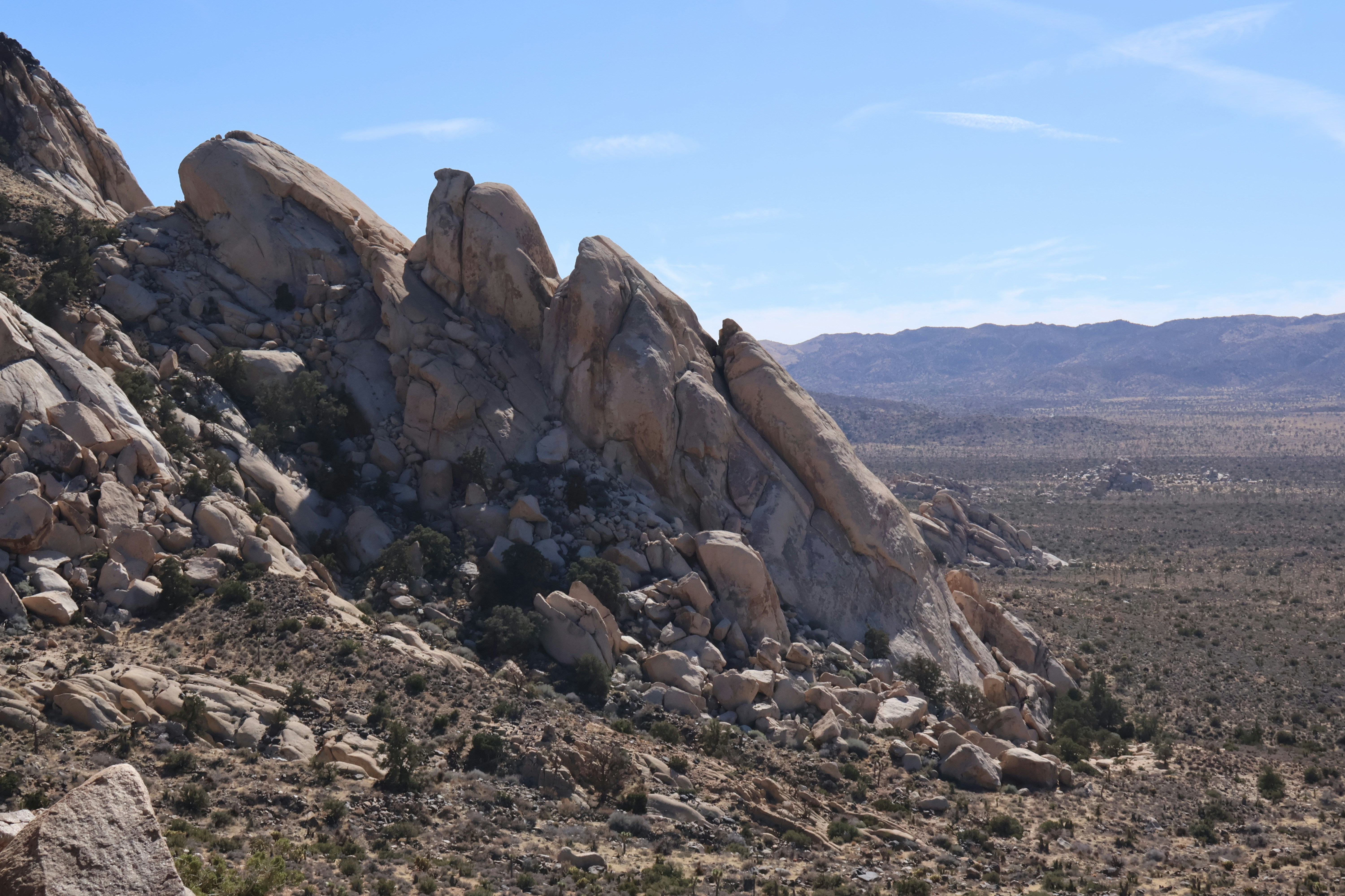The Silent Sentinels of the Desert
