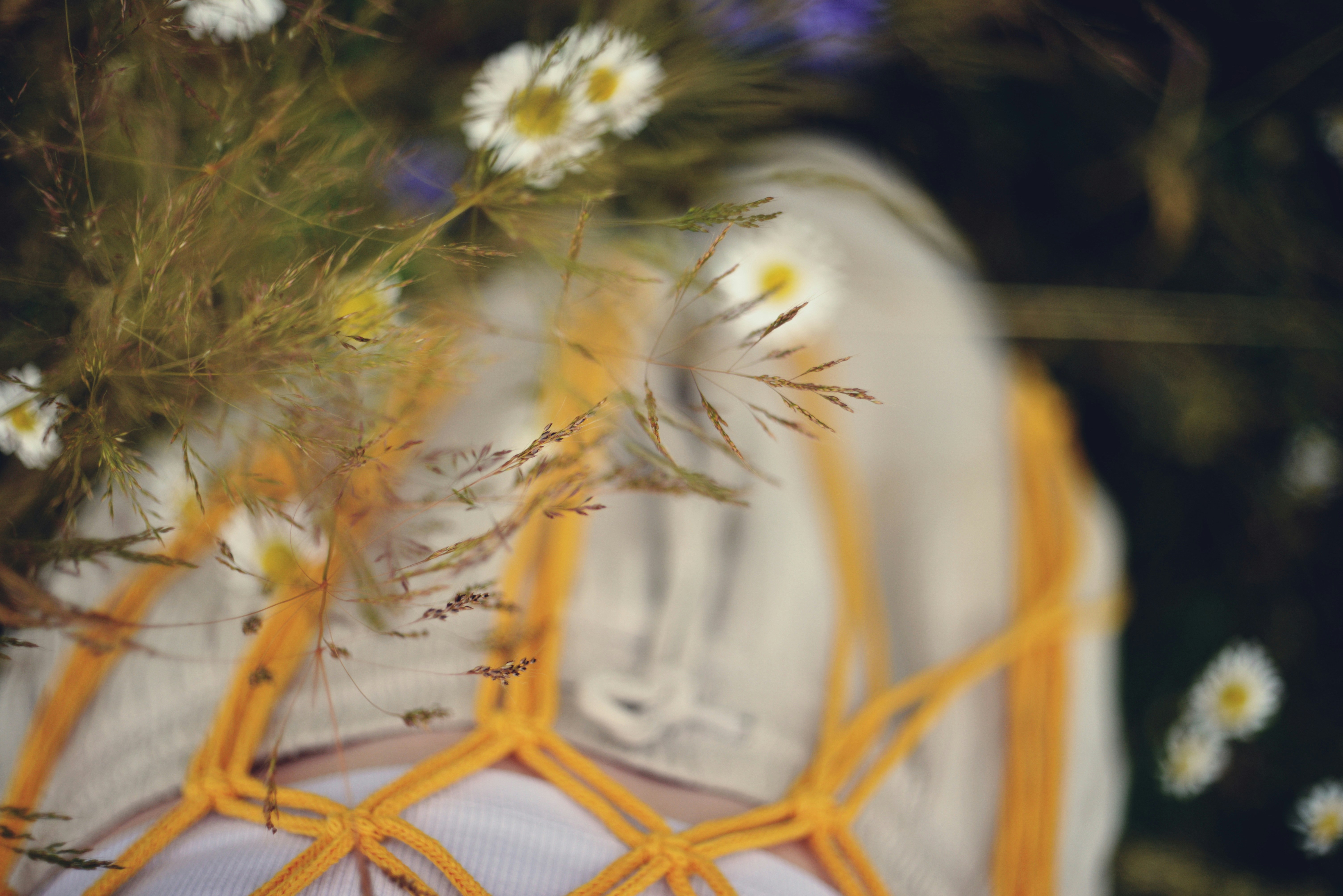 Orange Macramé Lace Framing a Field of Daisies