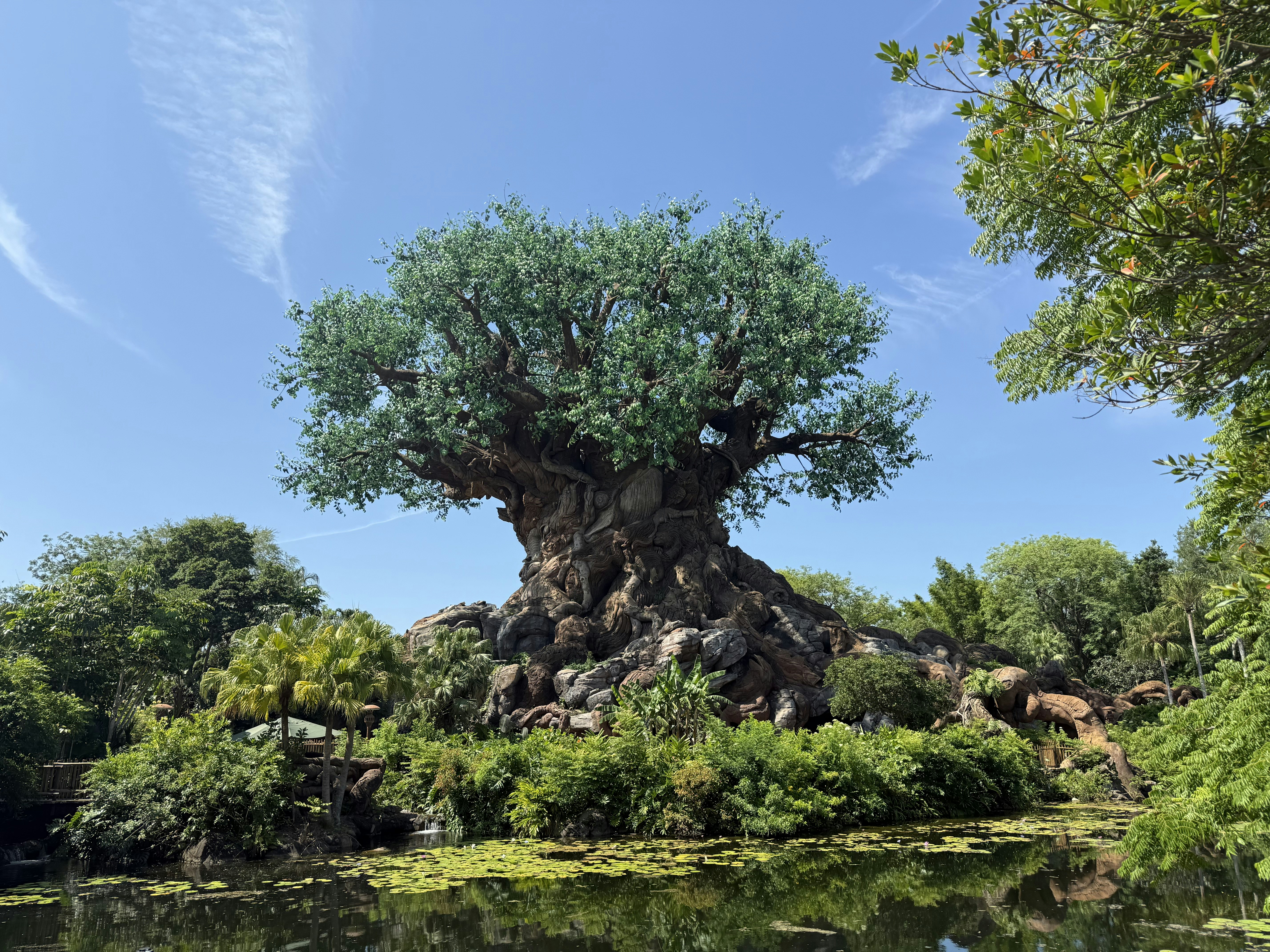 The Majestic Tree of Life: Nature's Artistry in Harmony