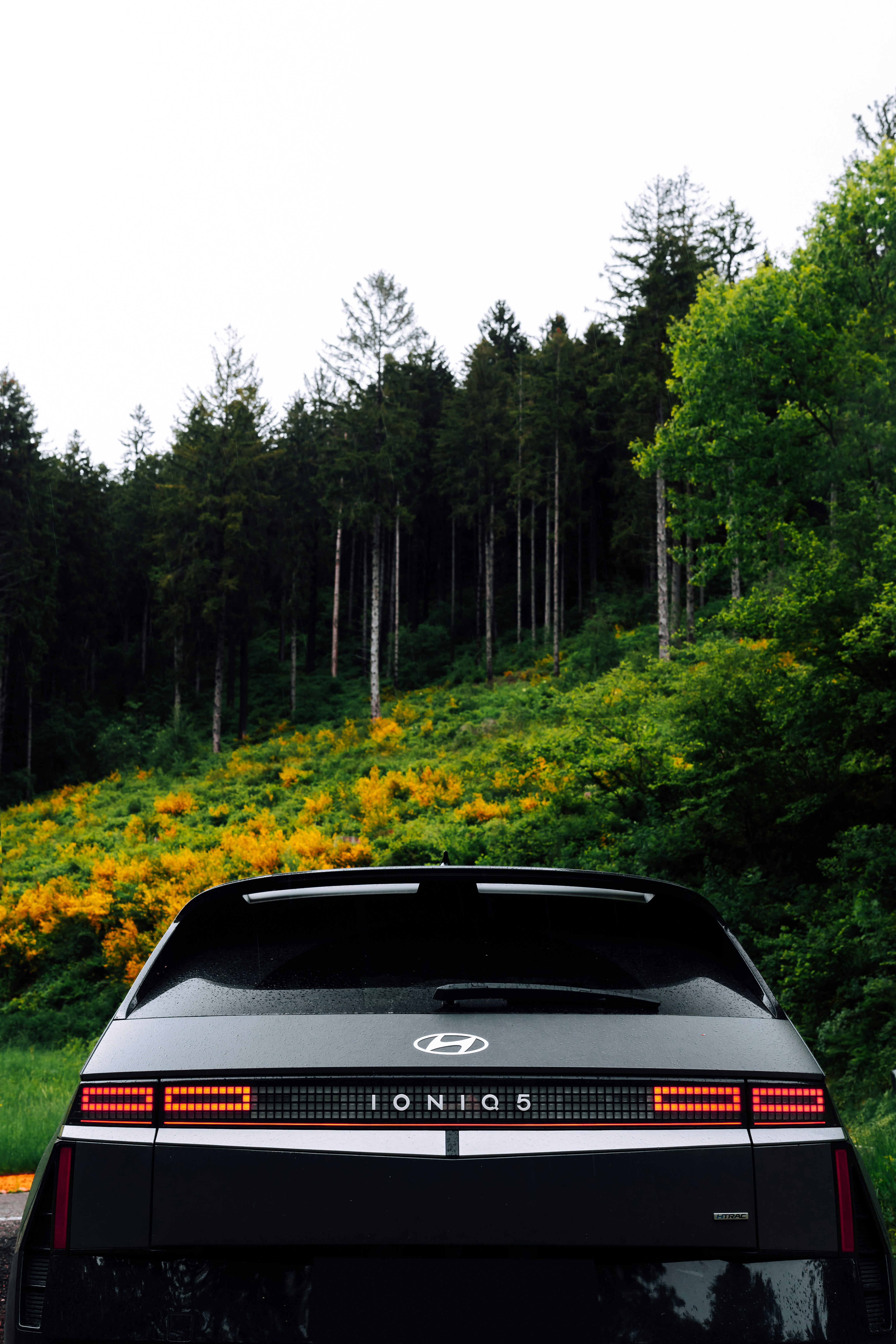 Martin Katler (@martinkatler) | Unsplash Photo Community