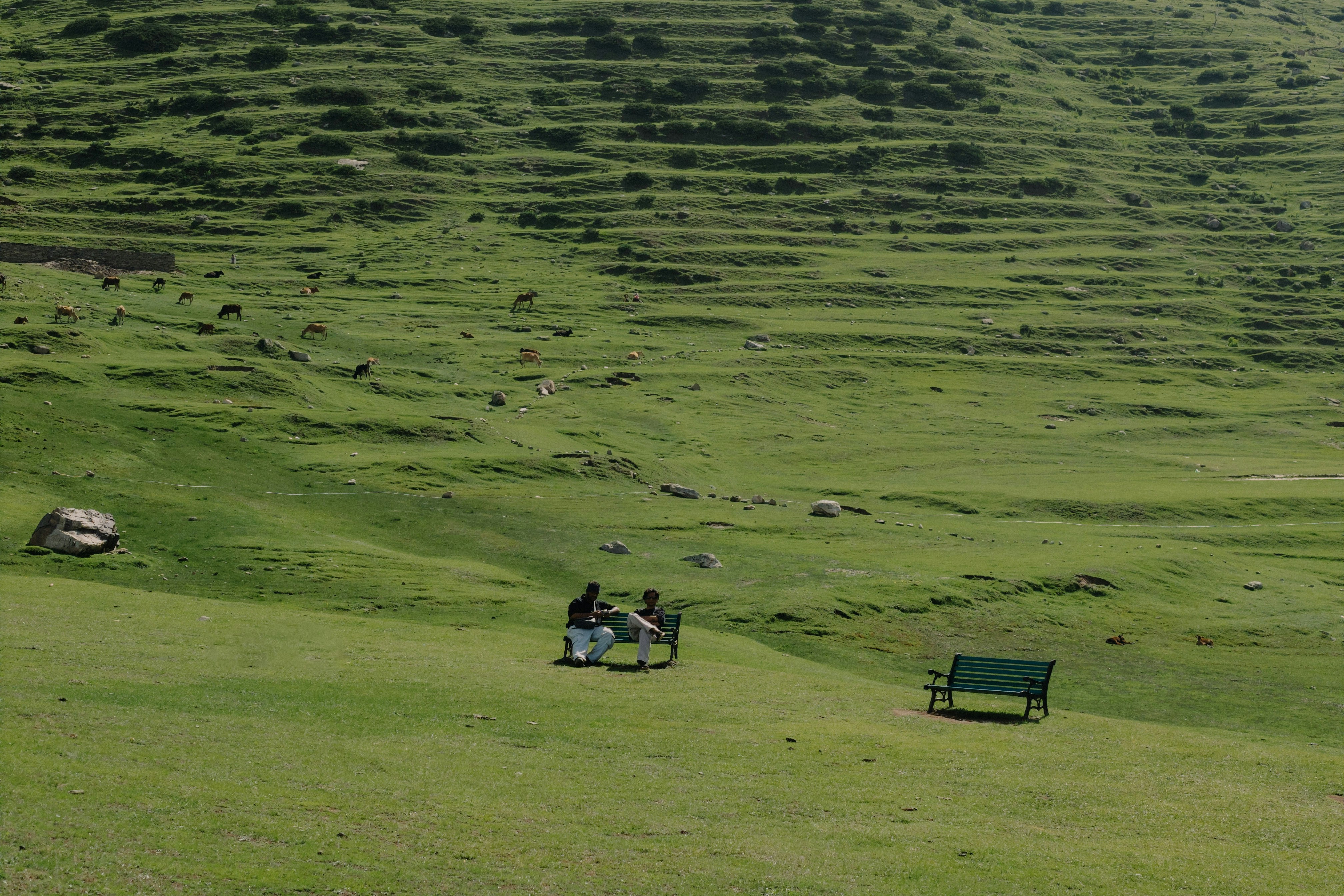 People picnic in a lush, green, mountainous landscape.
