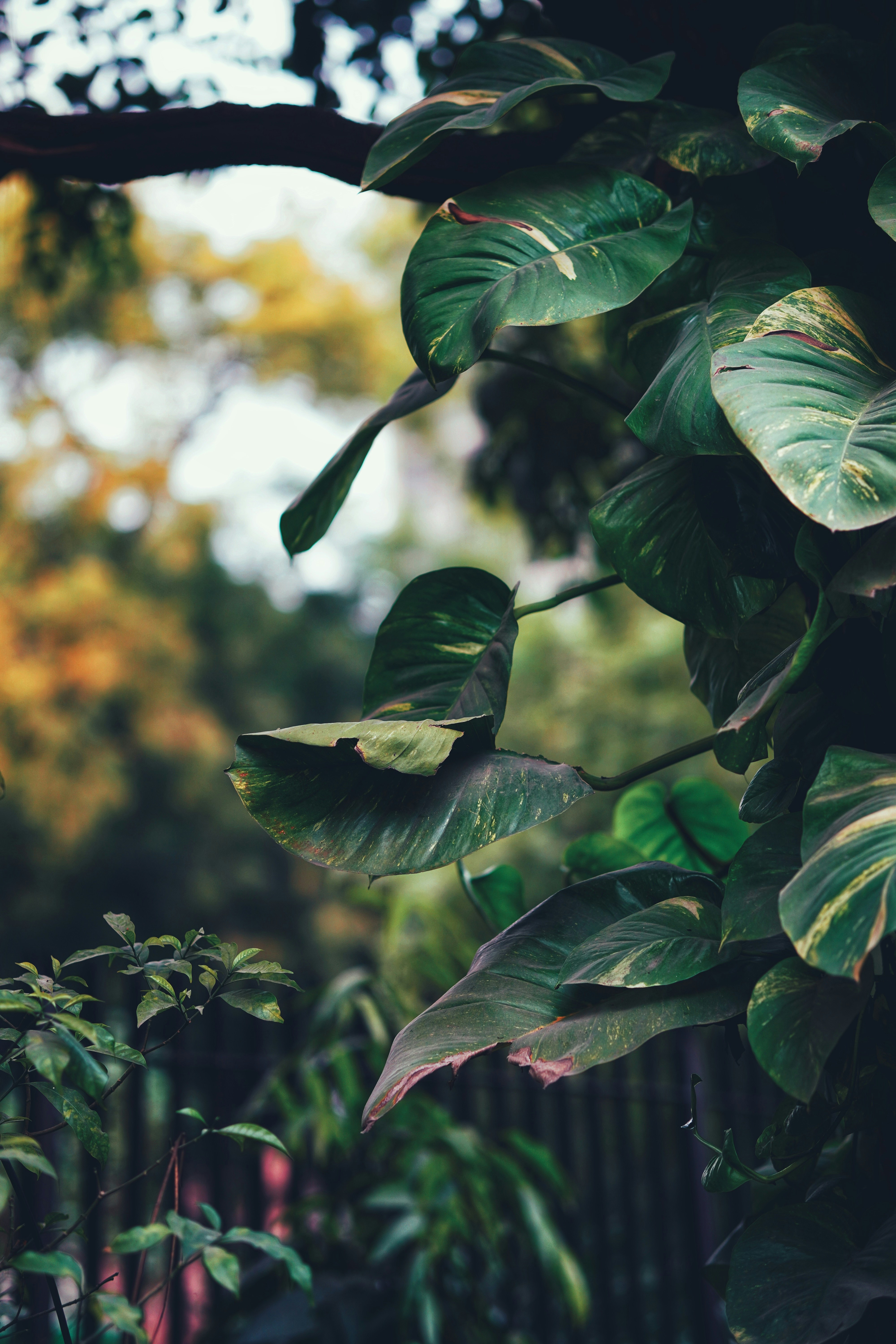 Prince Mathew (@metallizer) | Unsplash 사진 커뮤니티