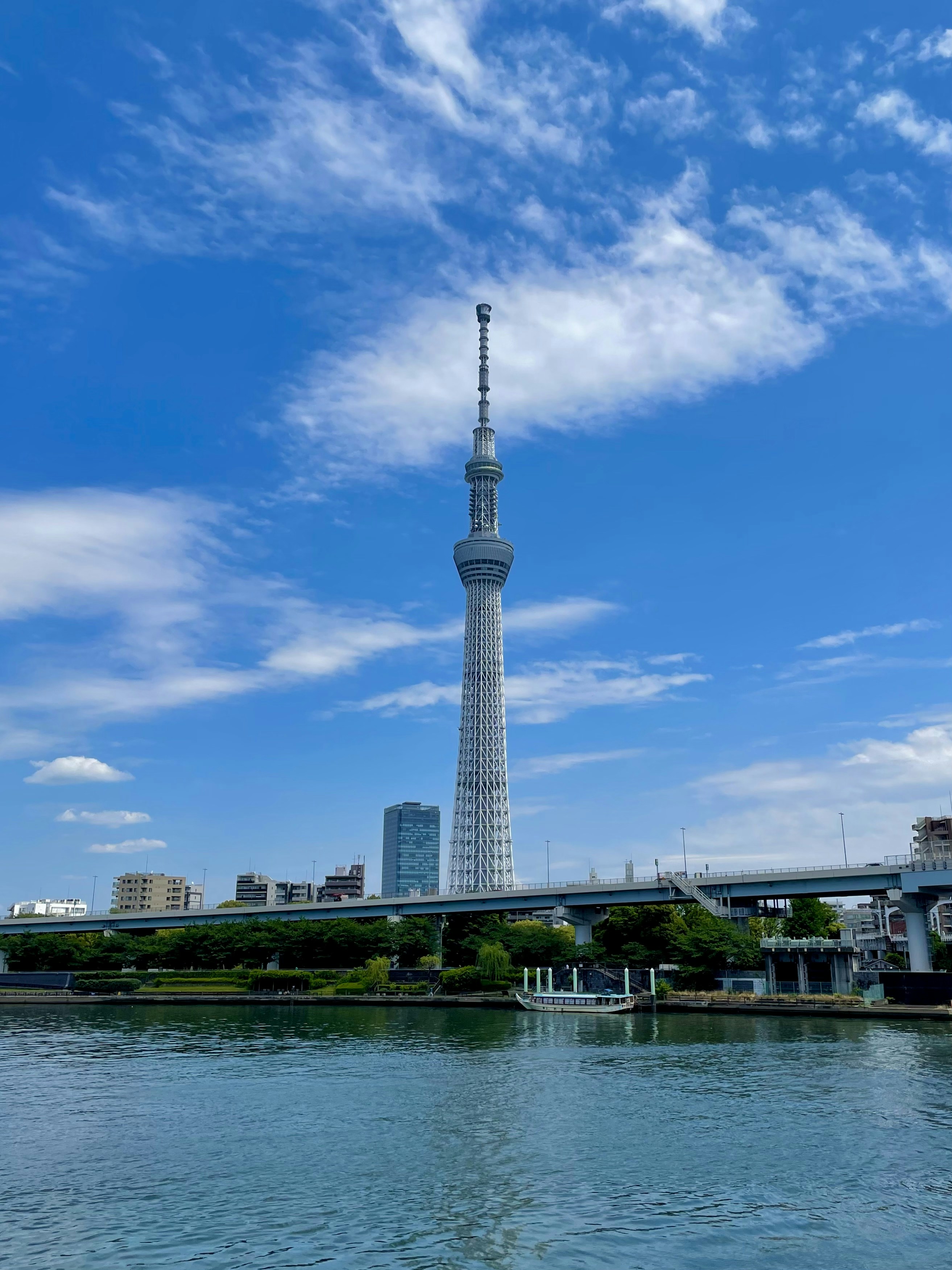 Silvery Skytree Over the Sumida: A Quiet Riverfront Portrait