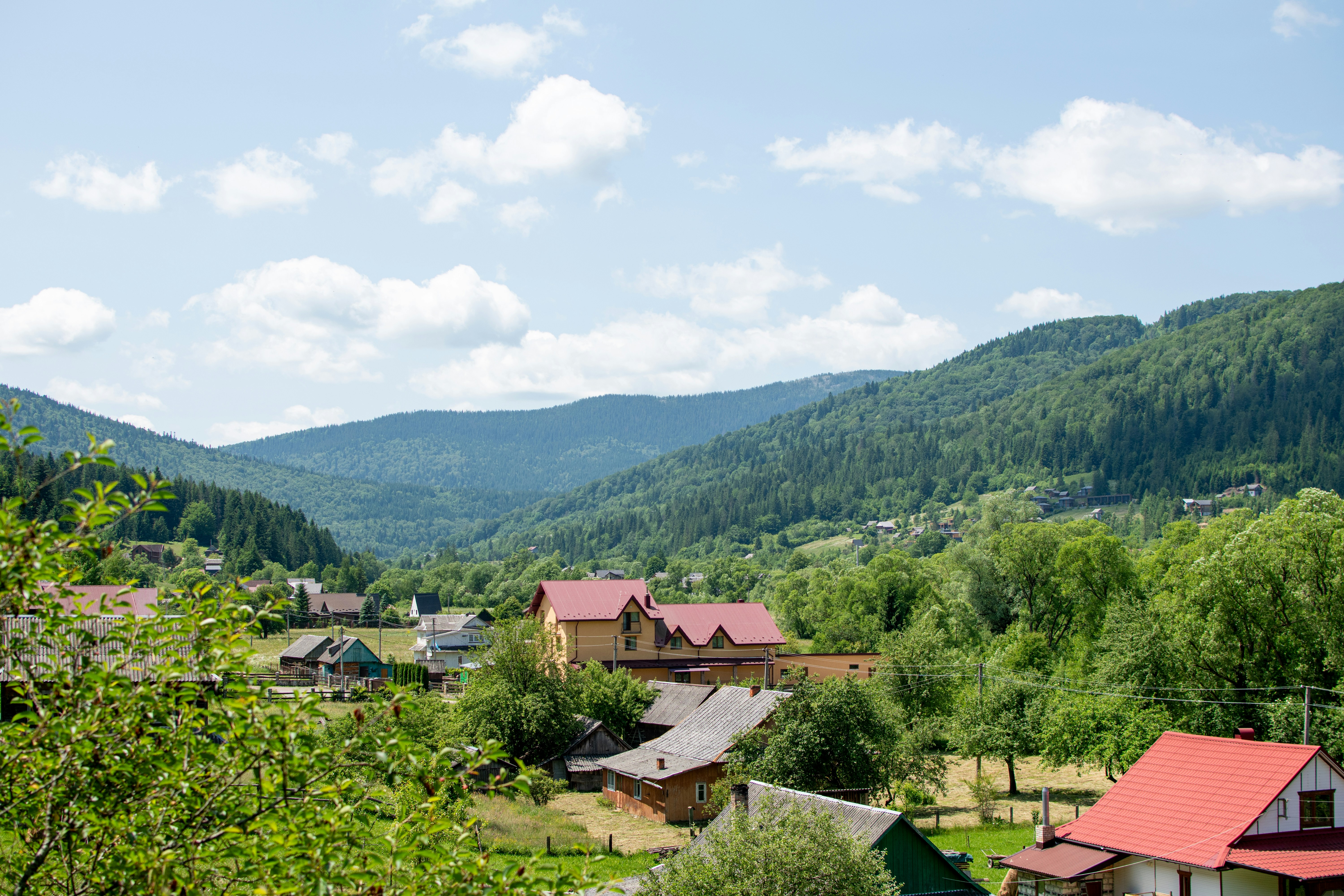 Houses nestled among lush trees and mountains.