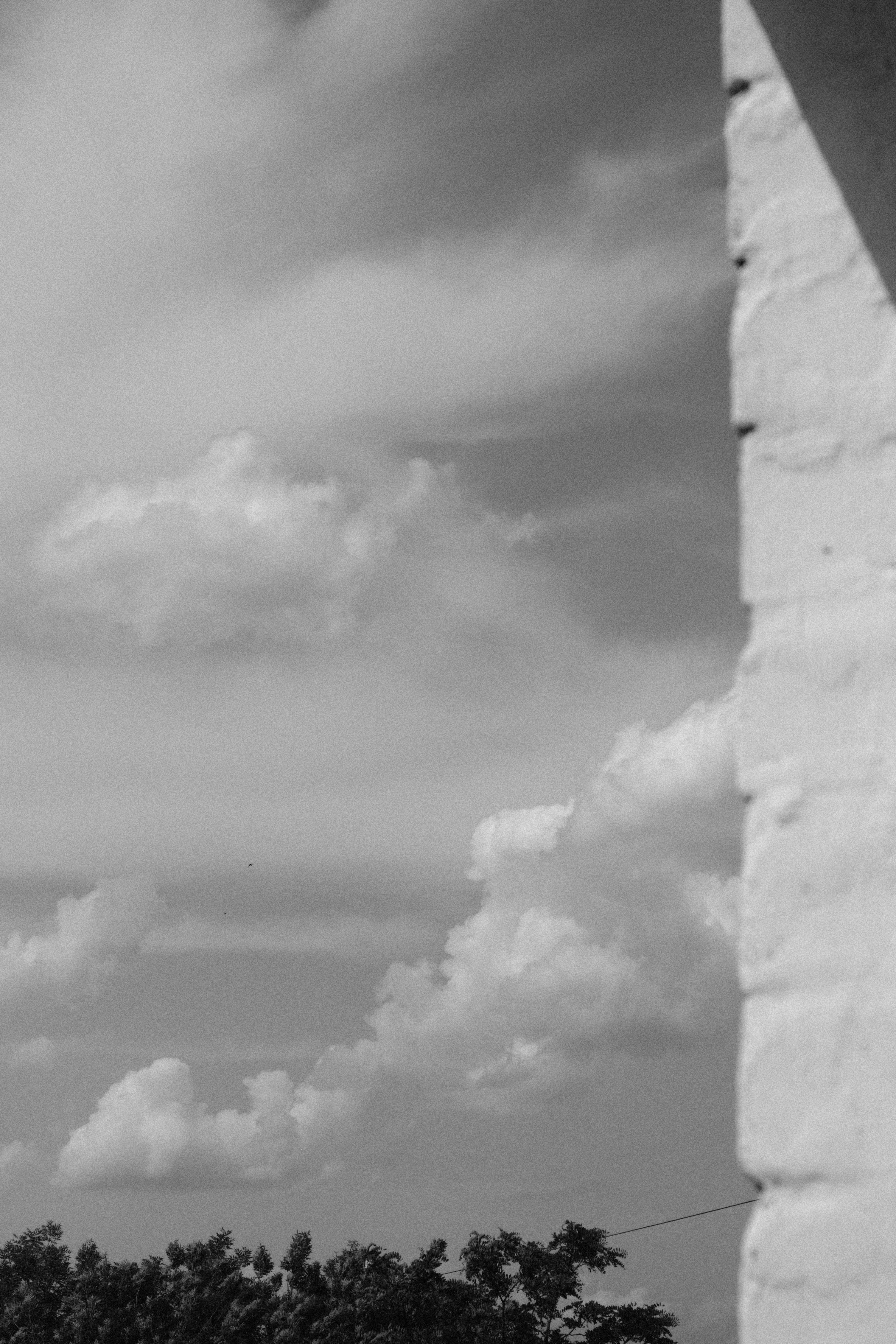 Dramatic clouds drift across a monochrome sky, framed by a textured wall on the right. The contrast highlights the ethereal nature of the scene.