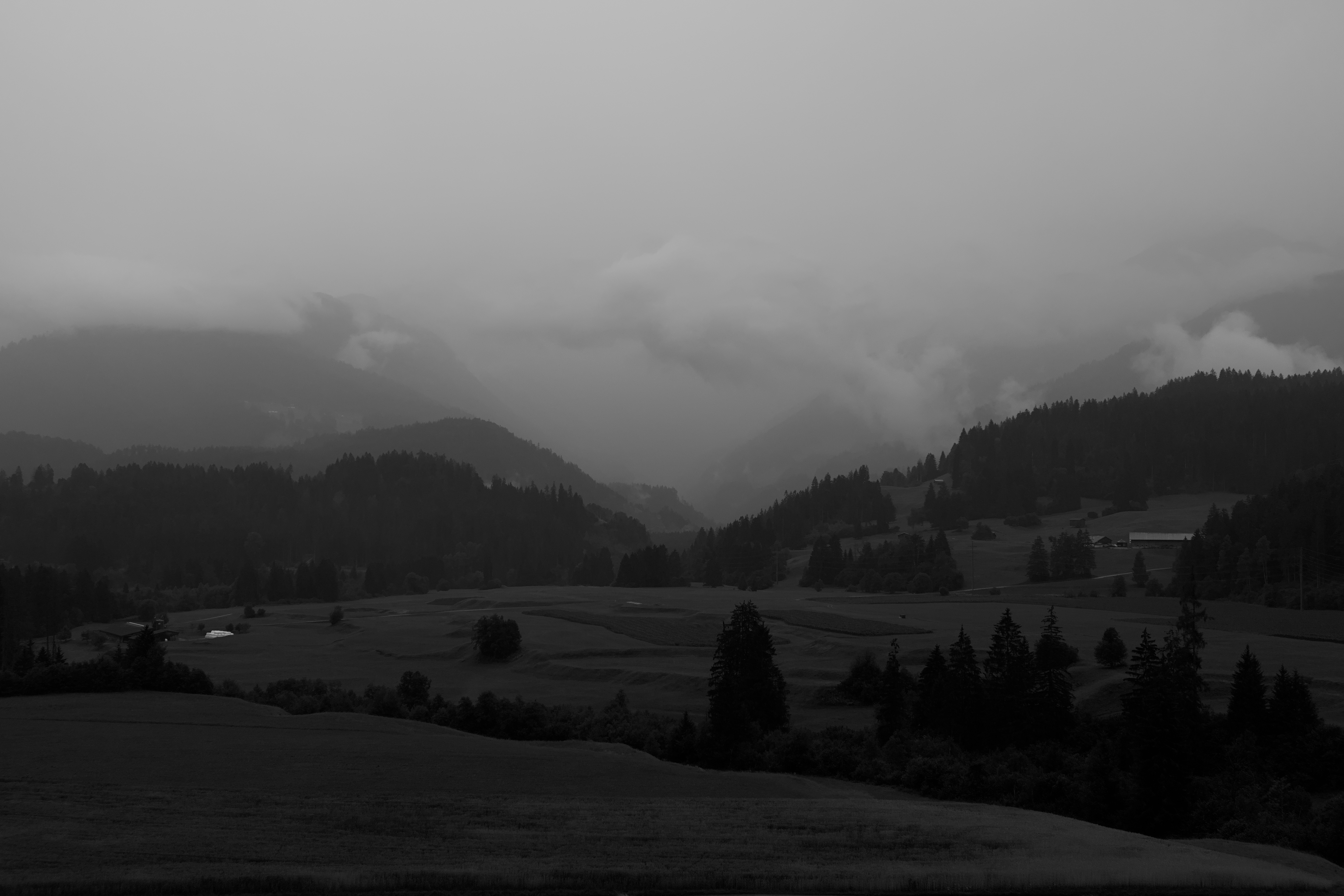 Whispers of the Misty Vale