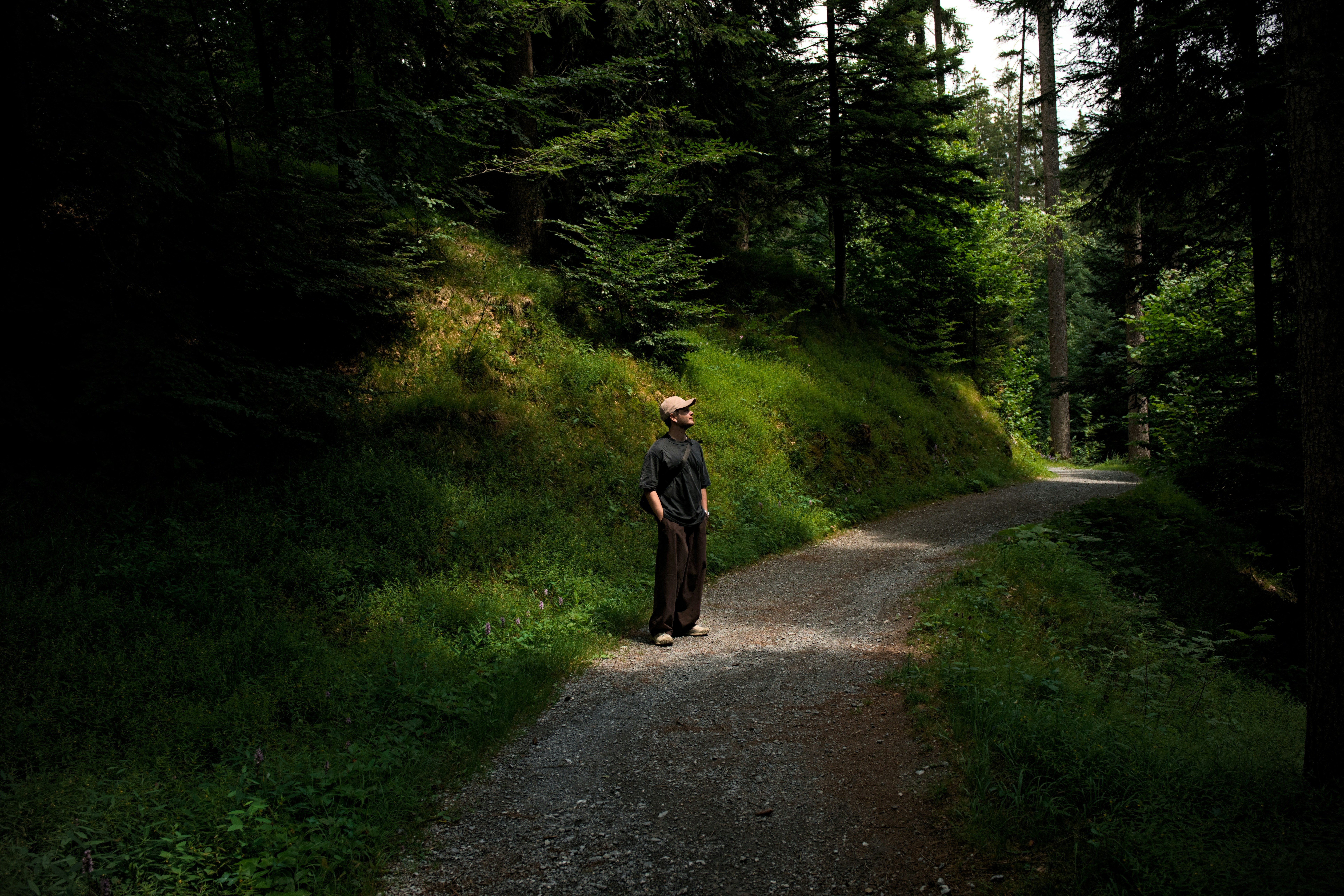 Whispers of the Forest Path