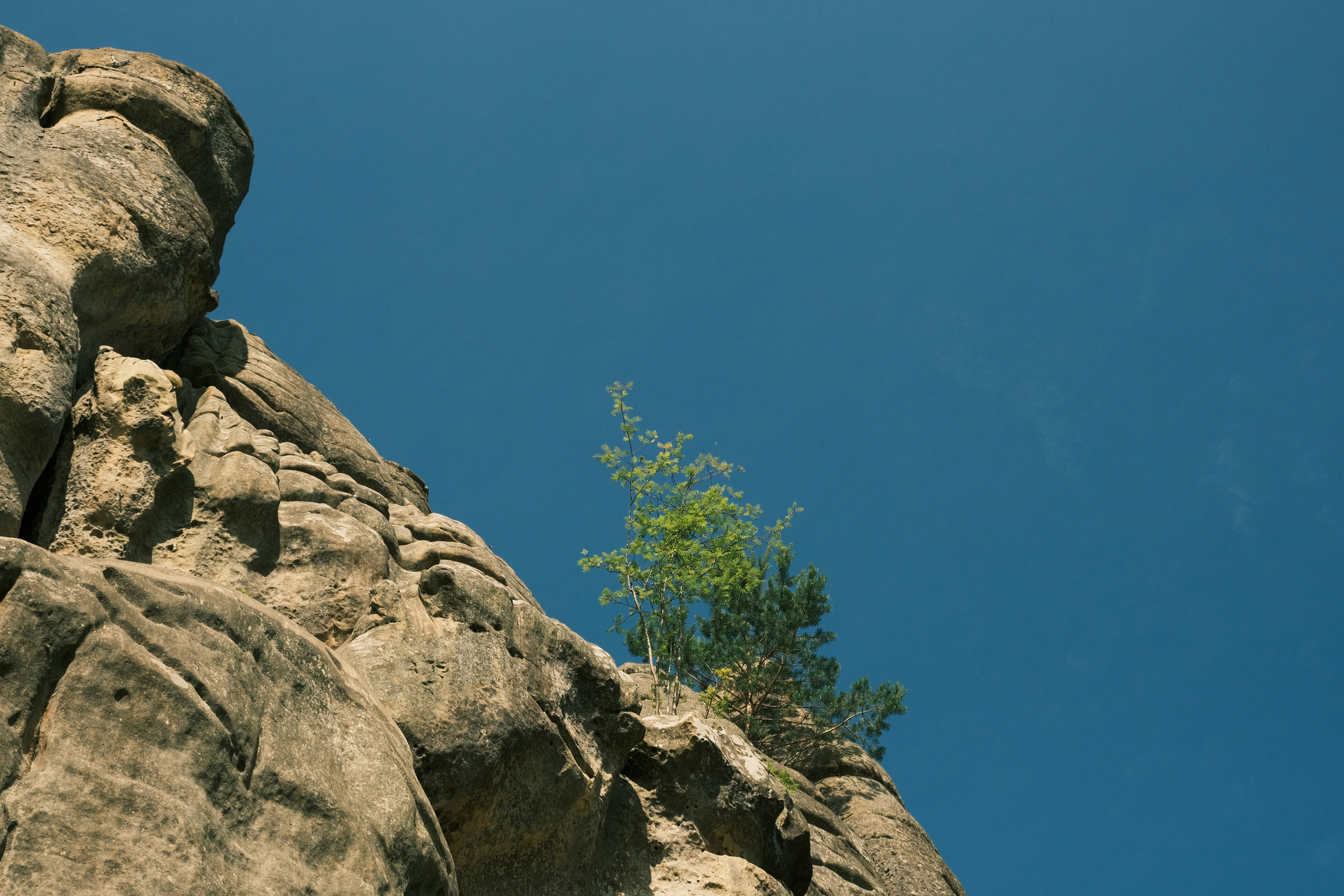 Photo by R_ INVSCIMENTO with Fujifilm X-T30 II