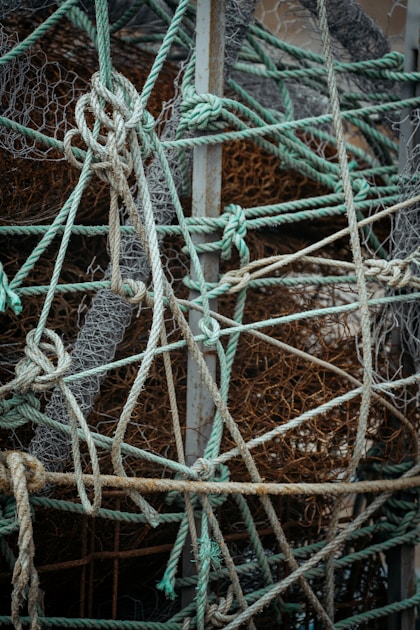 Meshtastic vs MeshCore | MeshNodes