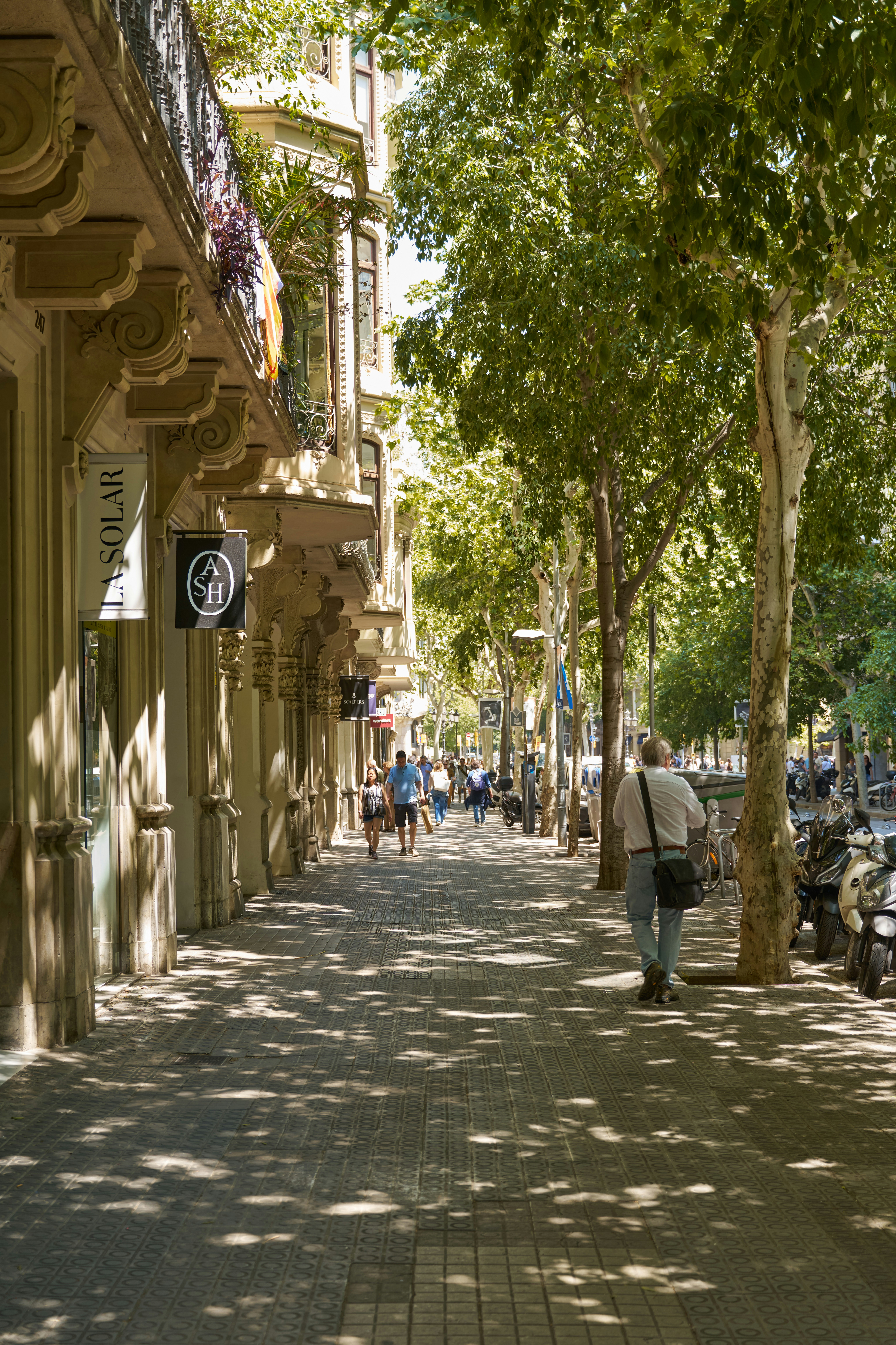Lively city sidewalk lined with trees and shops, capturing the essence of urban life on a sunny day.