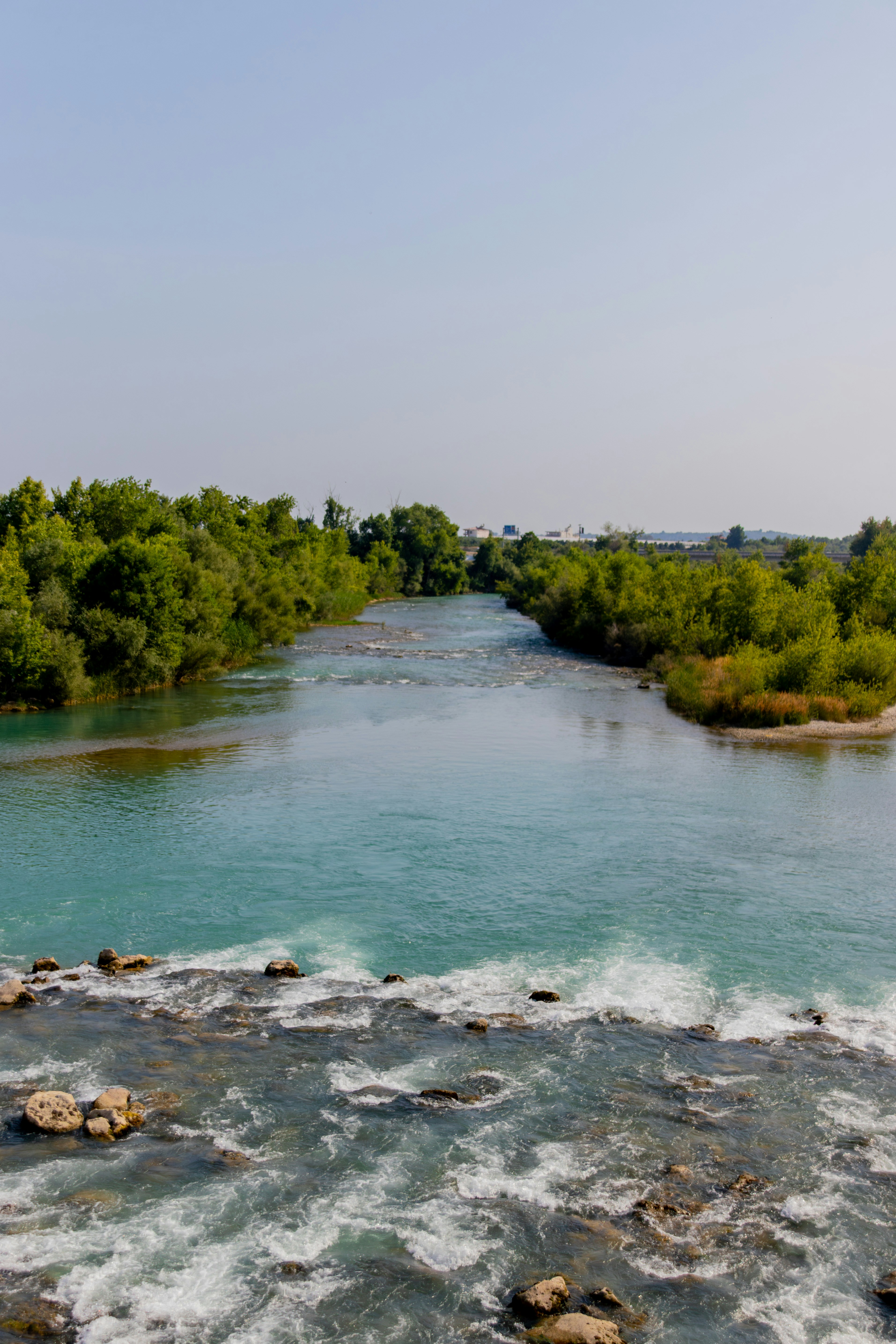 Crystal-clear river flows gently through lush greenery, showcasing the harmony of water and vegetation. The scene captures a peaceful moment in nature.