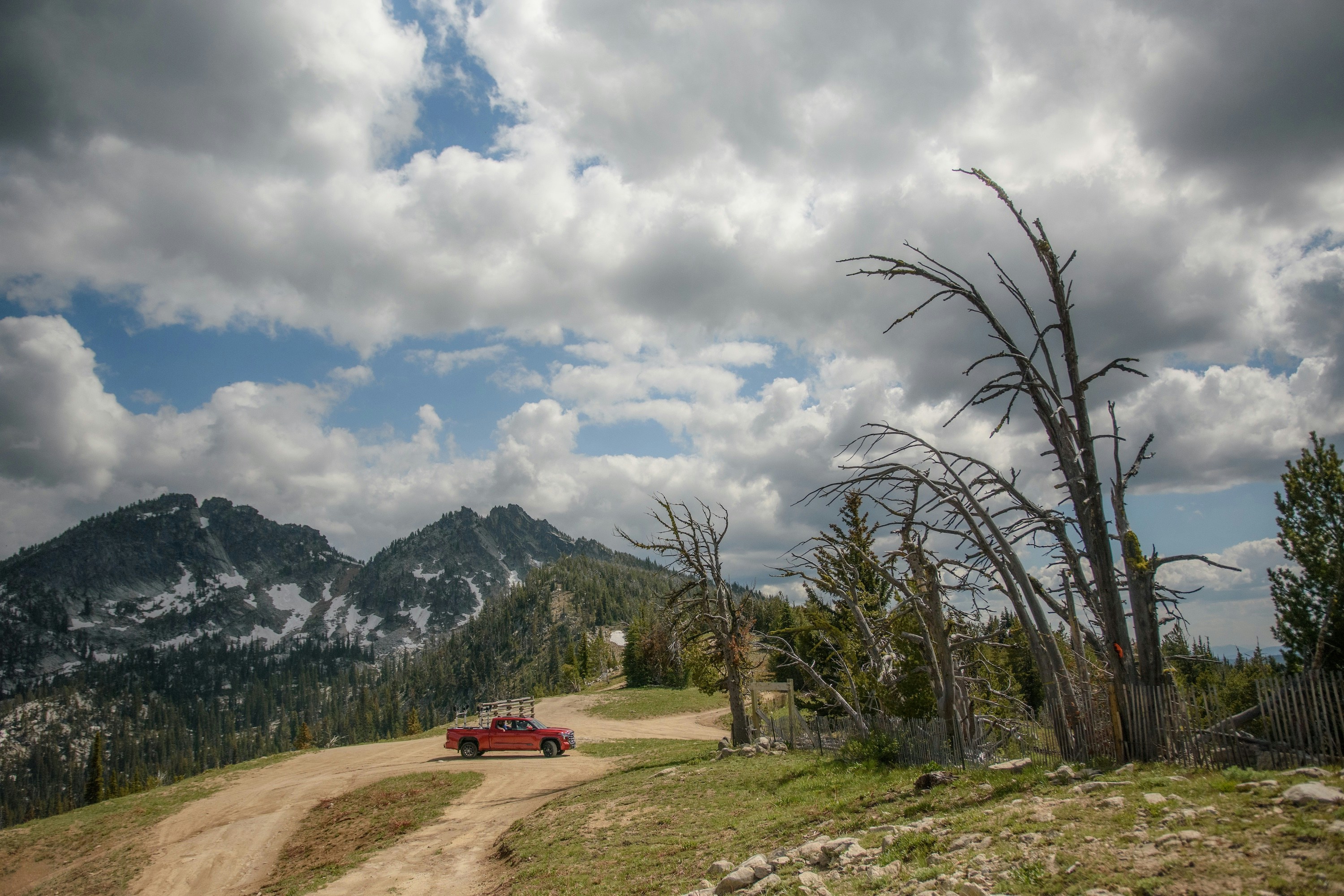 Journey Through the Whispering Pines