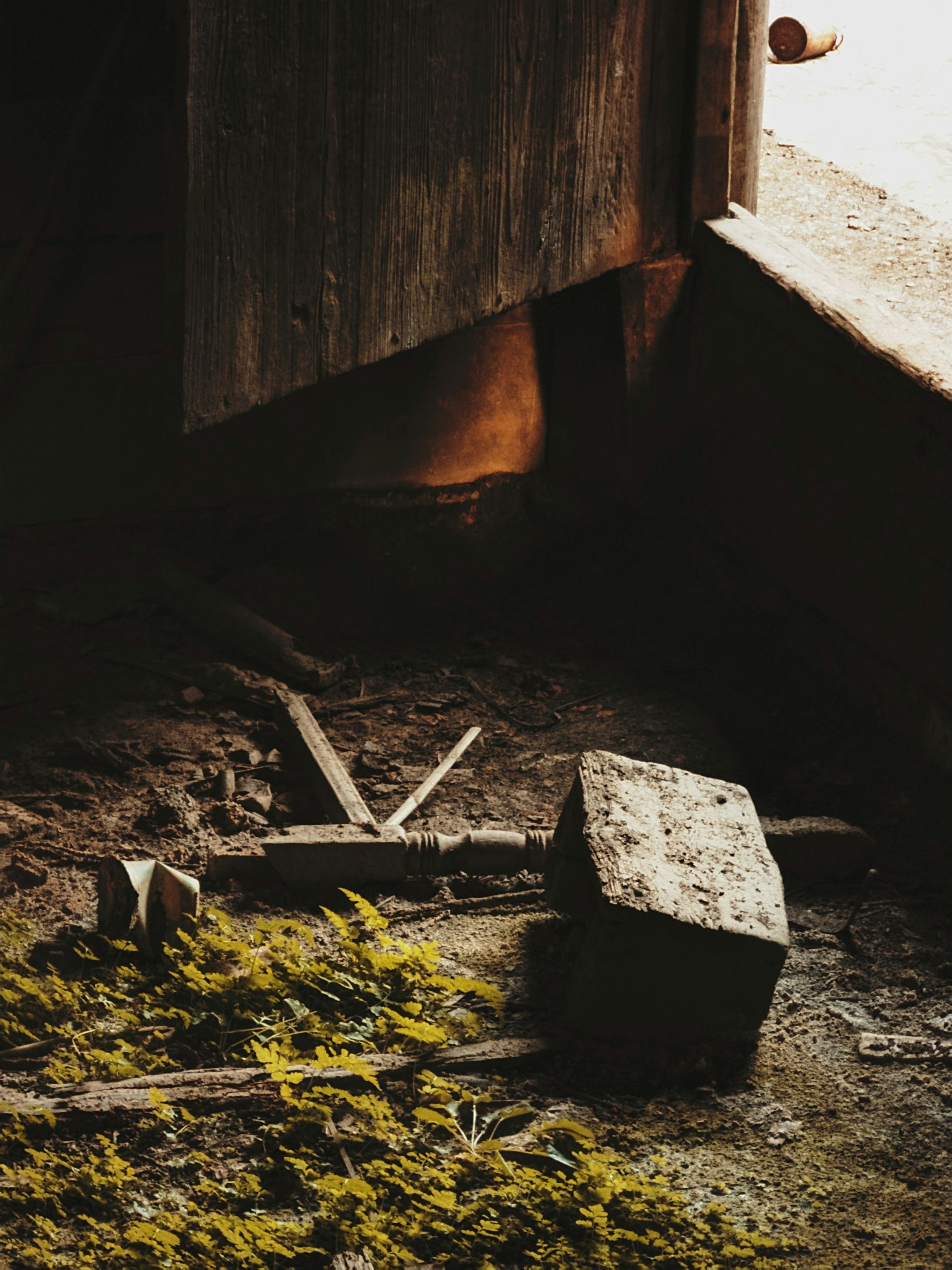 Sunlight streams through an open door, illuminating a forgotten corner filled with overgrown plants and remnants of the past.