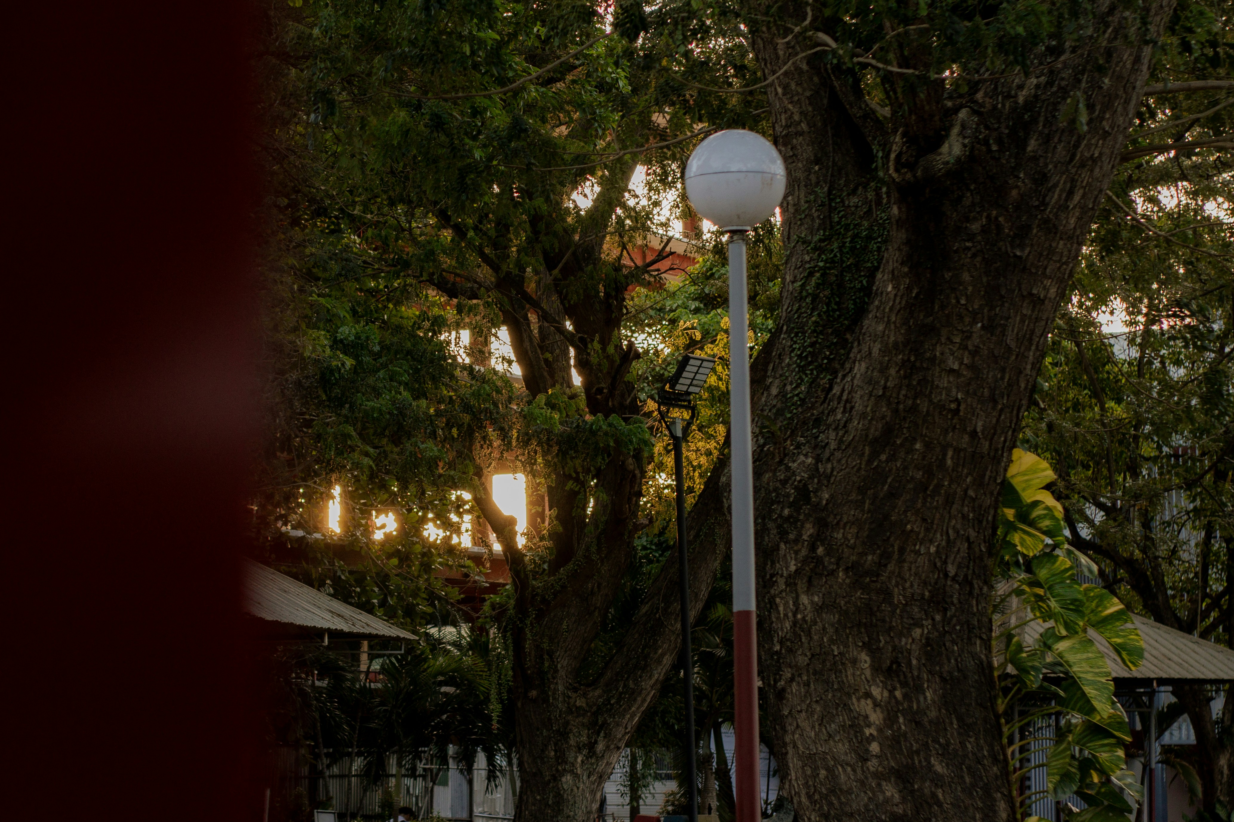A serene park scene featuring a lamp post framed by lush trees as the sun sets in the background.