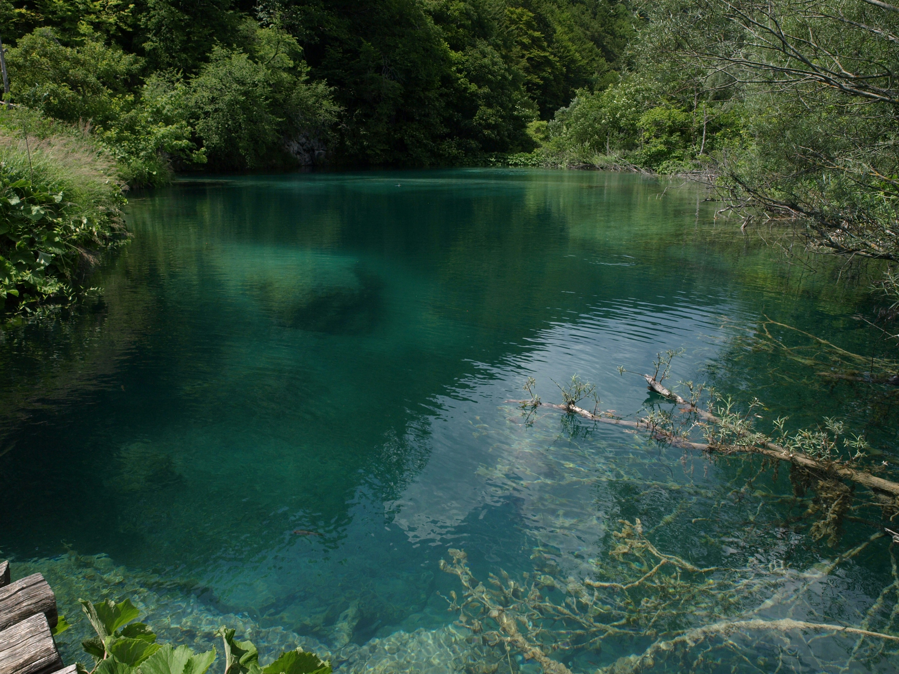 Sample photo from Olympus E-510