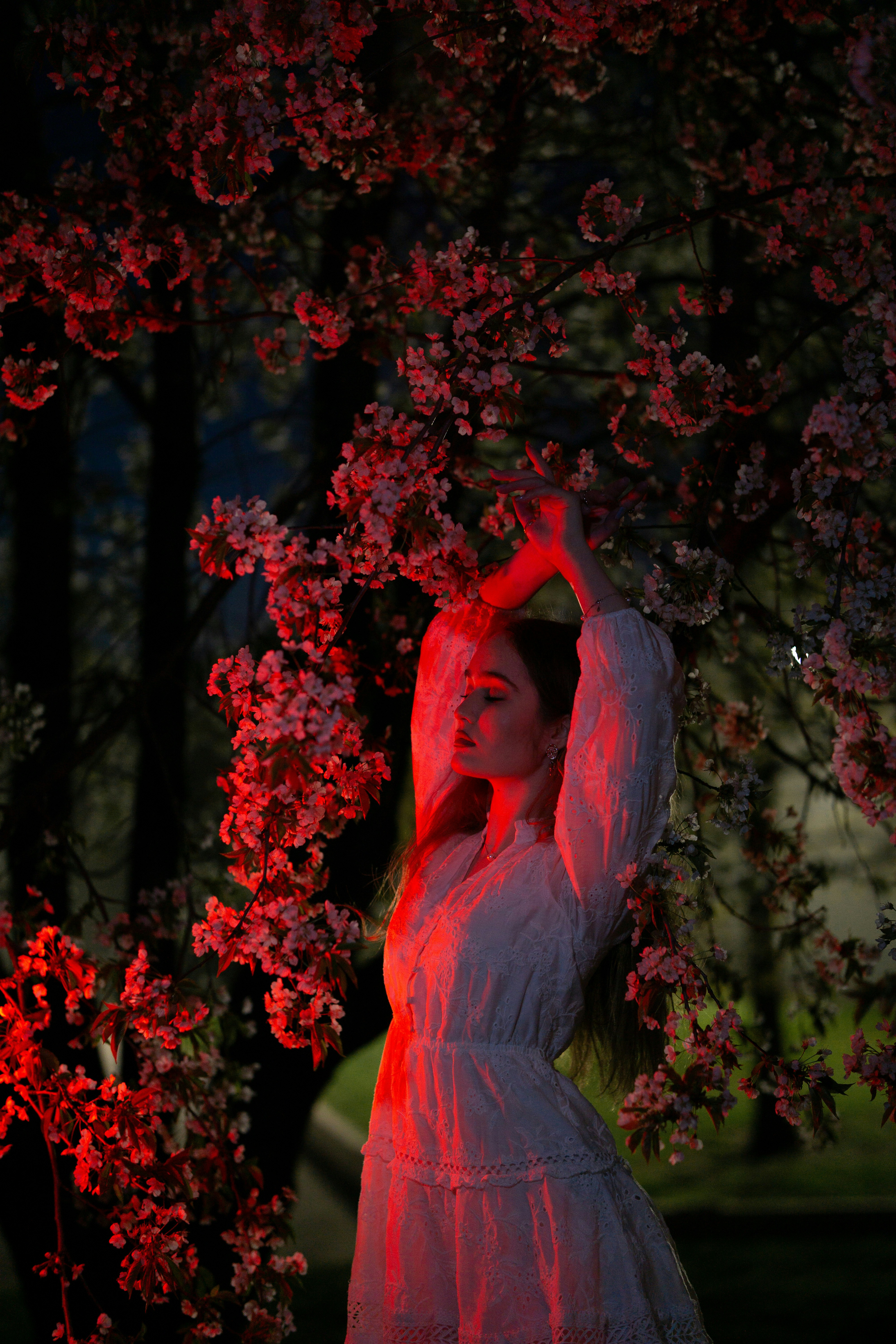 A woman in a white dress poses gracefully among vibrant cherry blossoms illuminated by red light.