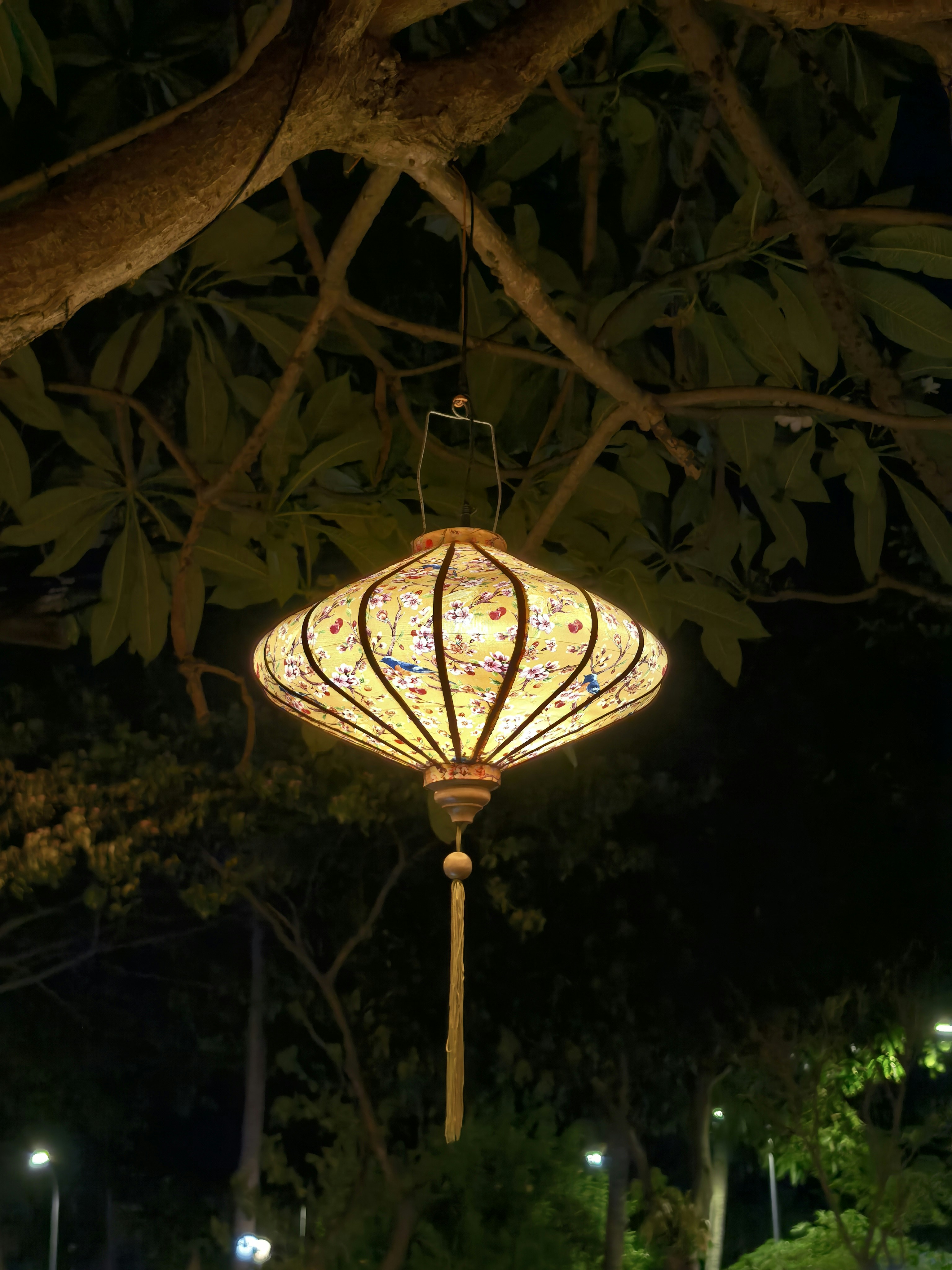 A glowing lantern hangs from a tree at night.