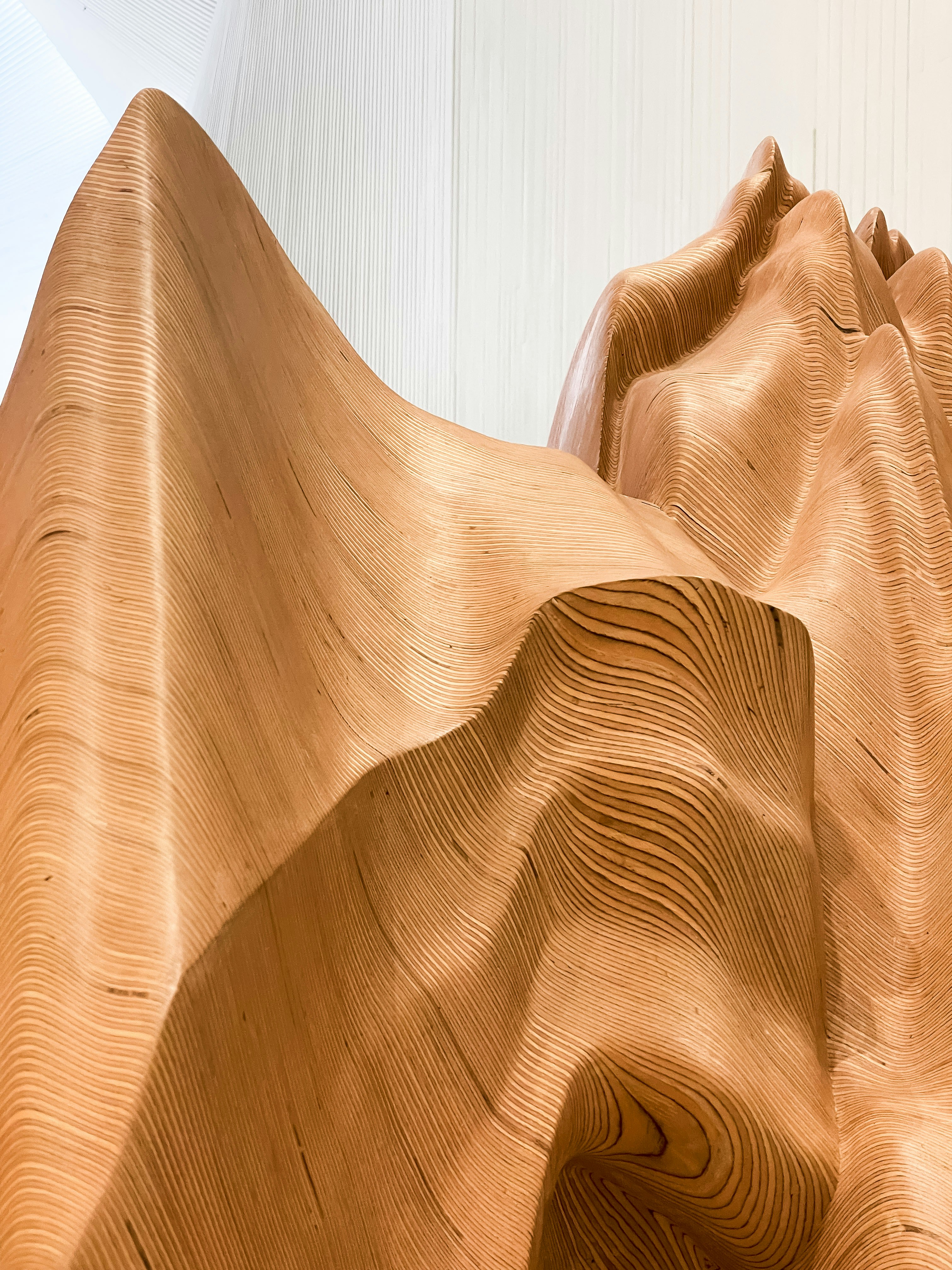 Amber Waves in Carved Wood: Close-Up of Flowing Grain