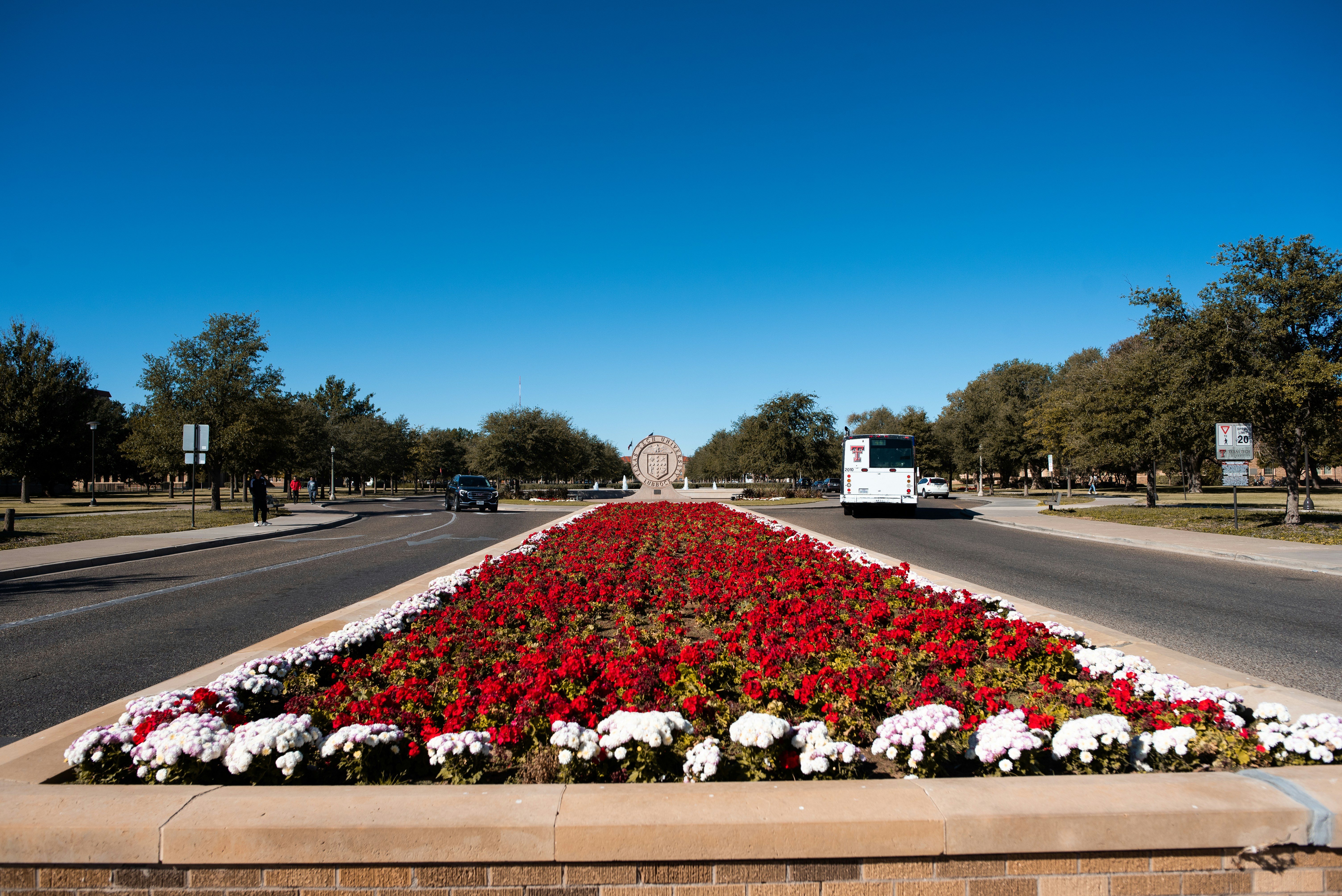 Road with flowerbeds and blue sky overhead.