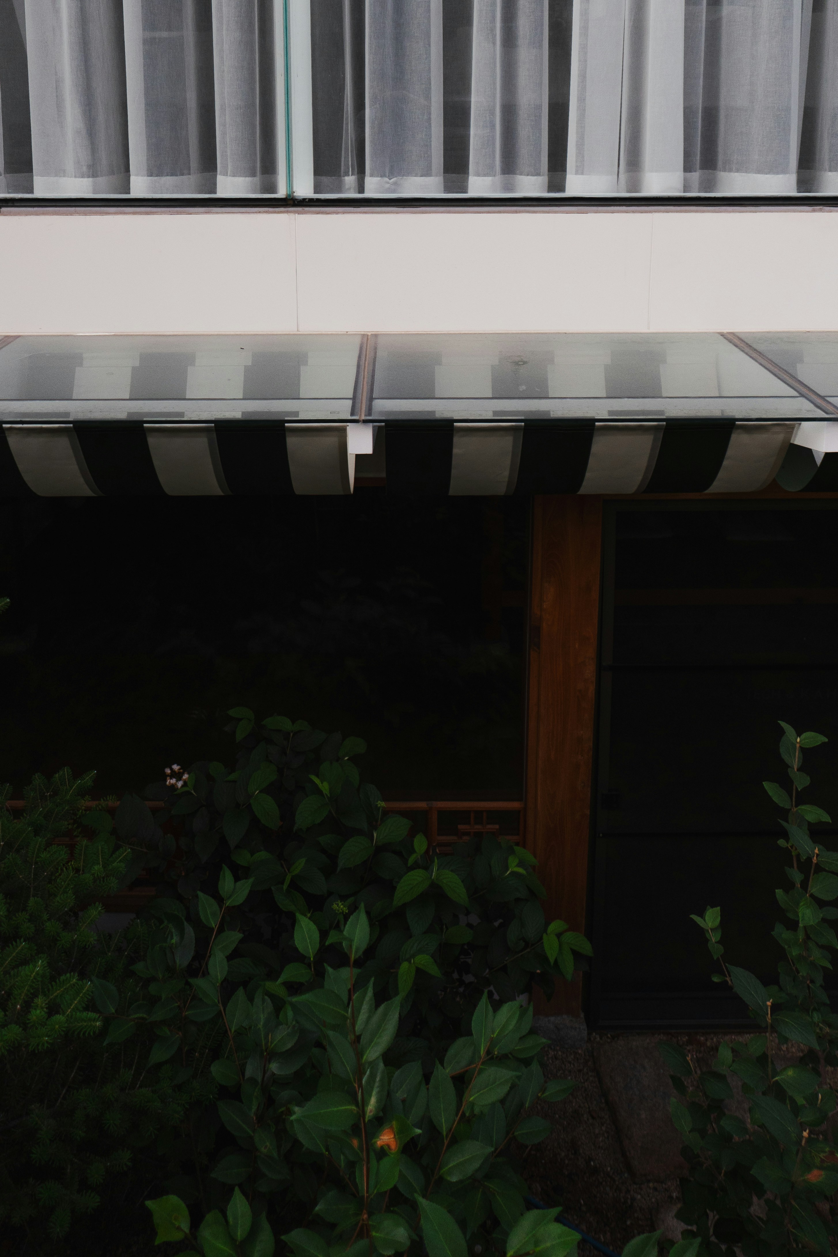 A building exterior with curtains, awning, and plants.