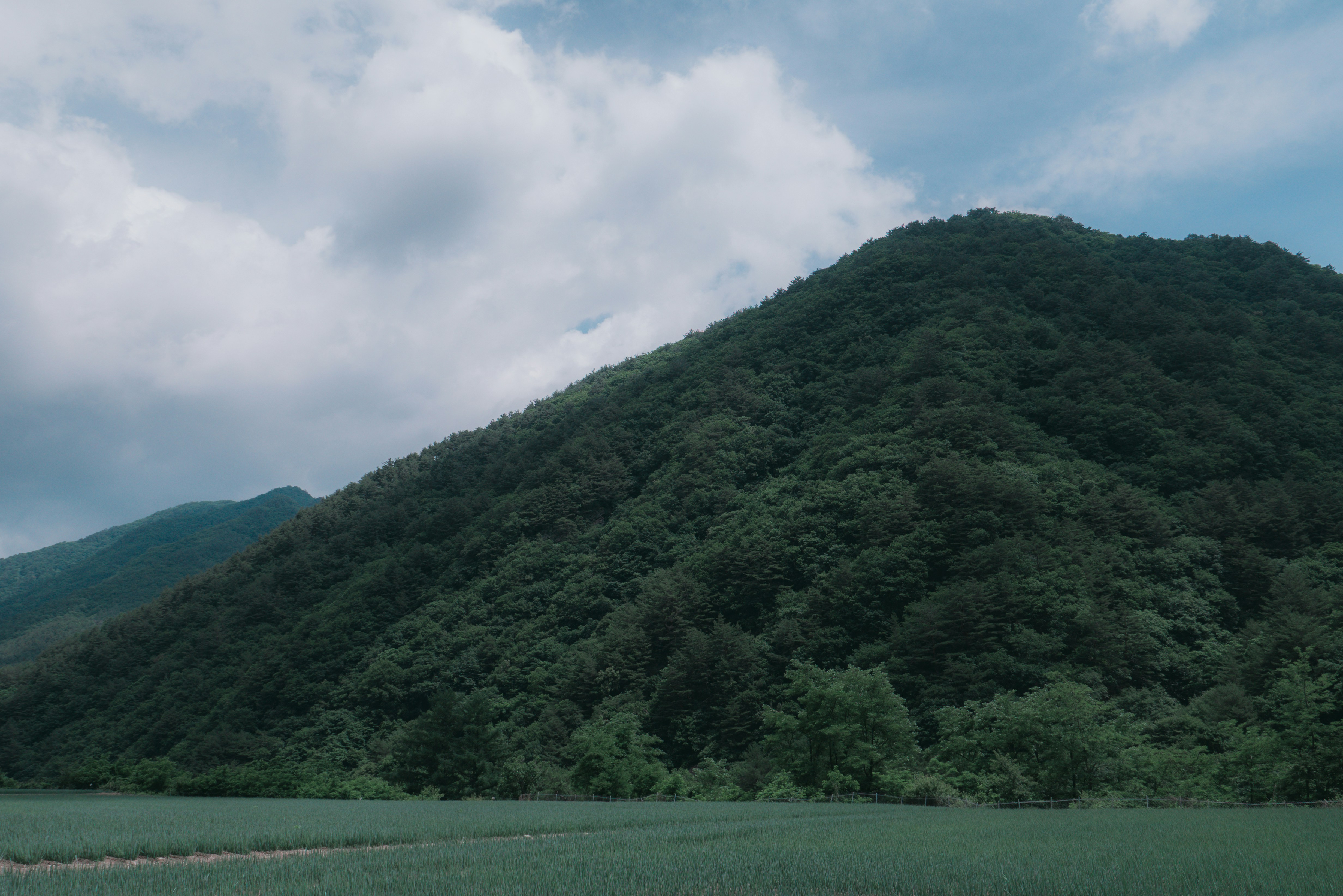 Lush green hillside rises majestically against a backdrop of dramatic clouds, showcasing the serene beauty of nature.