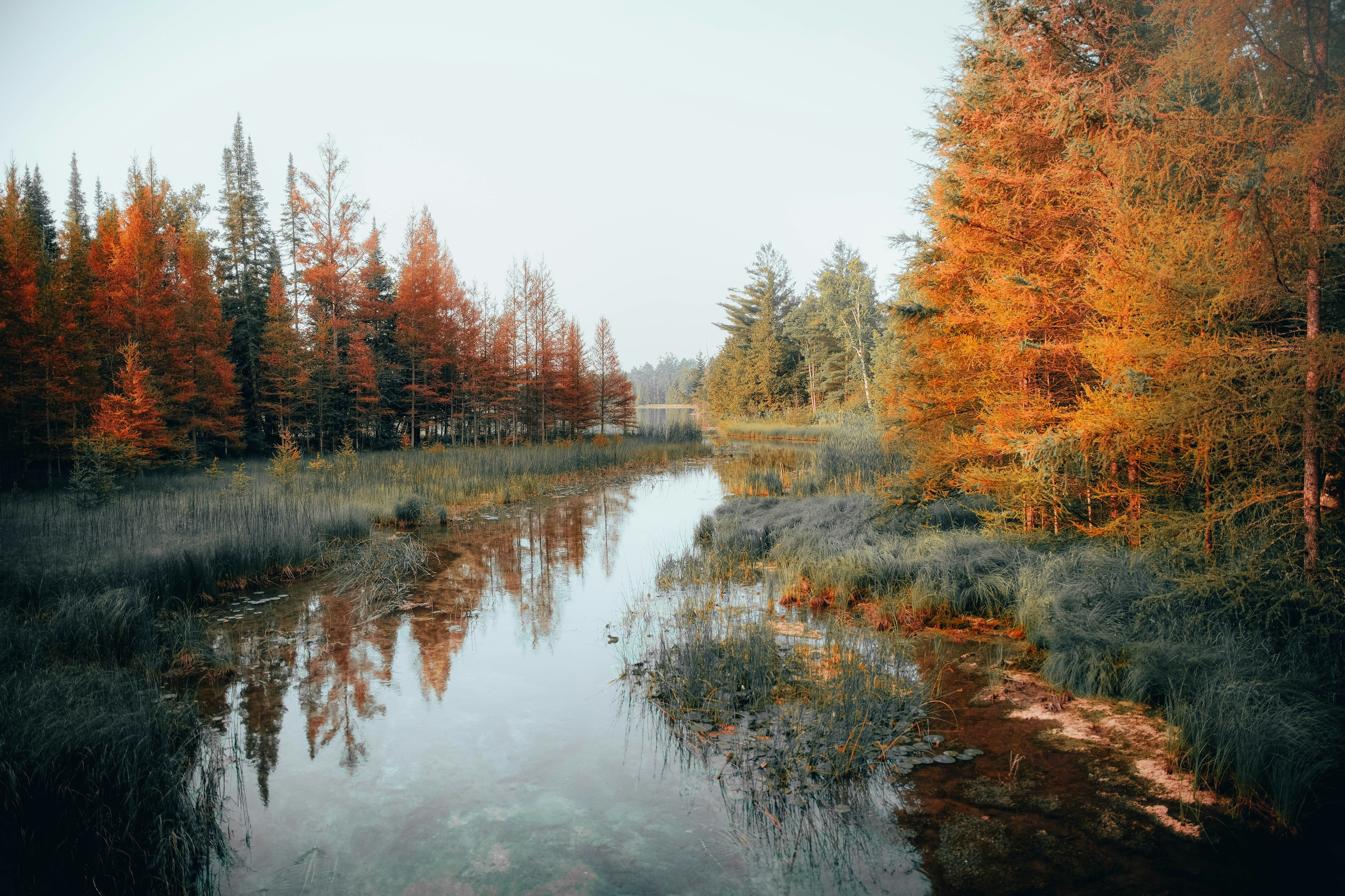 The start of a river with bright trees all around and fresh, clear water running through. | Autumn colors reflect on a tranquil river.