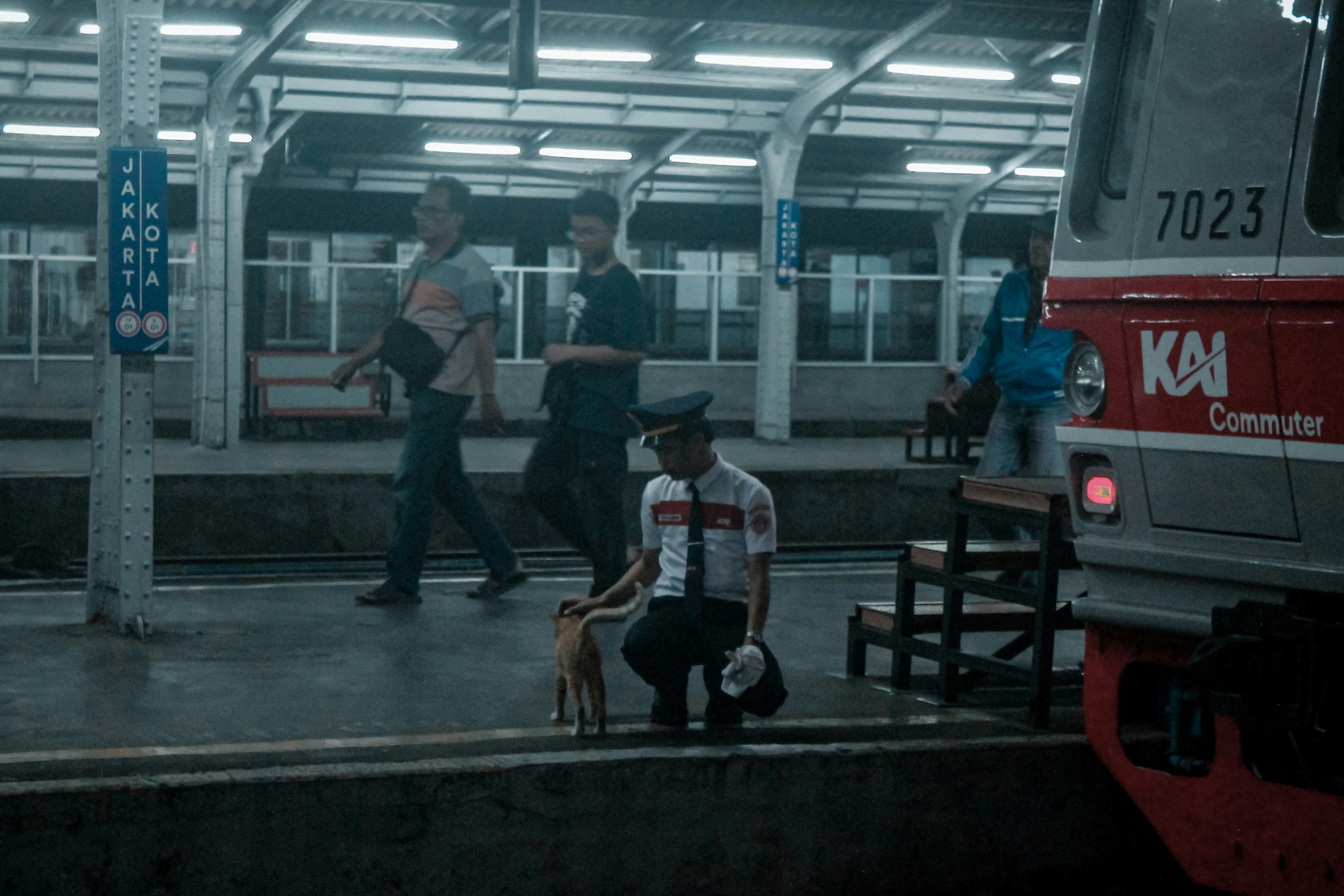 A train station attendant interacts with a cat. photo – Free Man Image ...