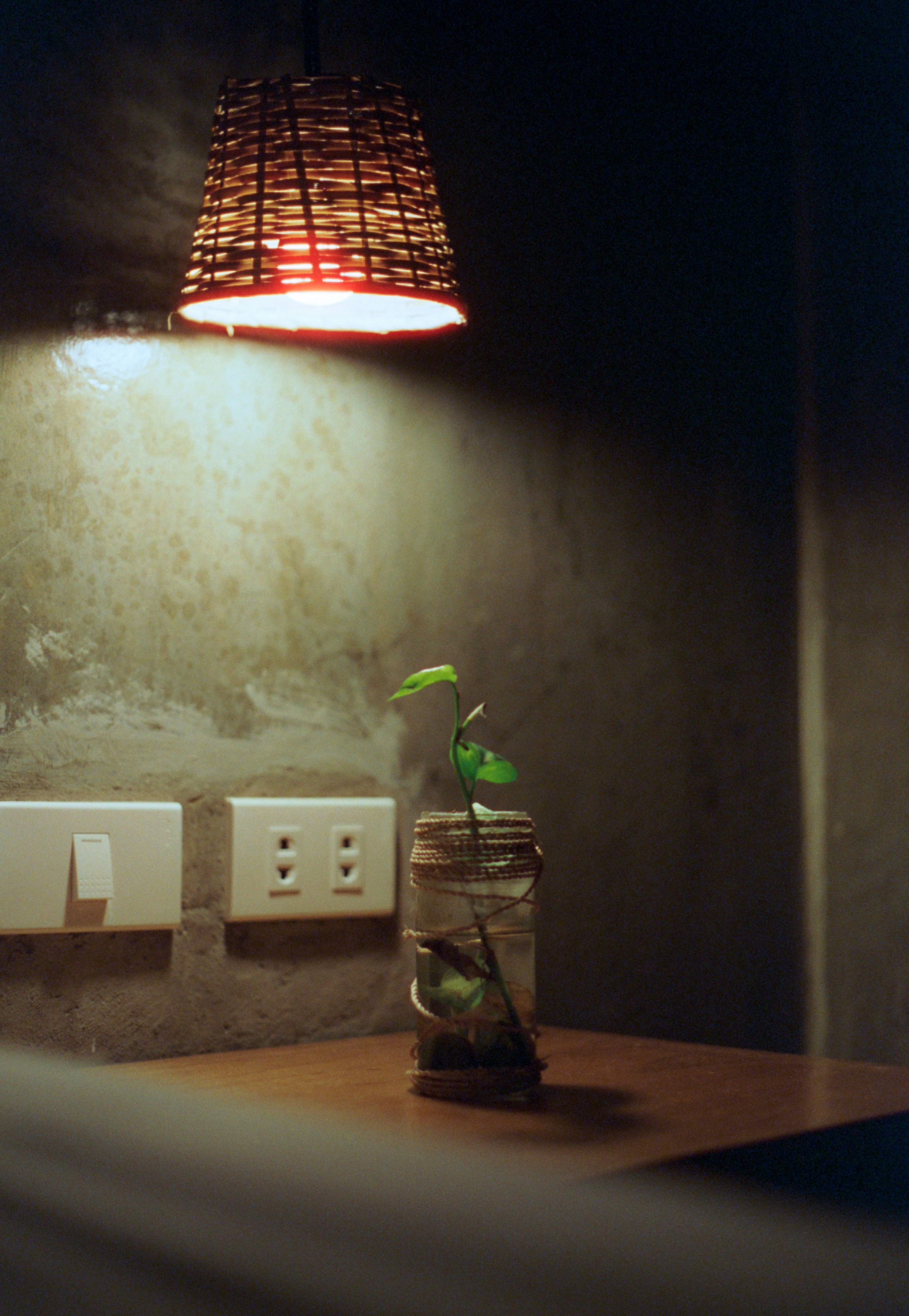 Whispers of Nature in a Cozy Corner