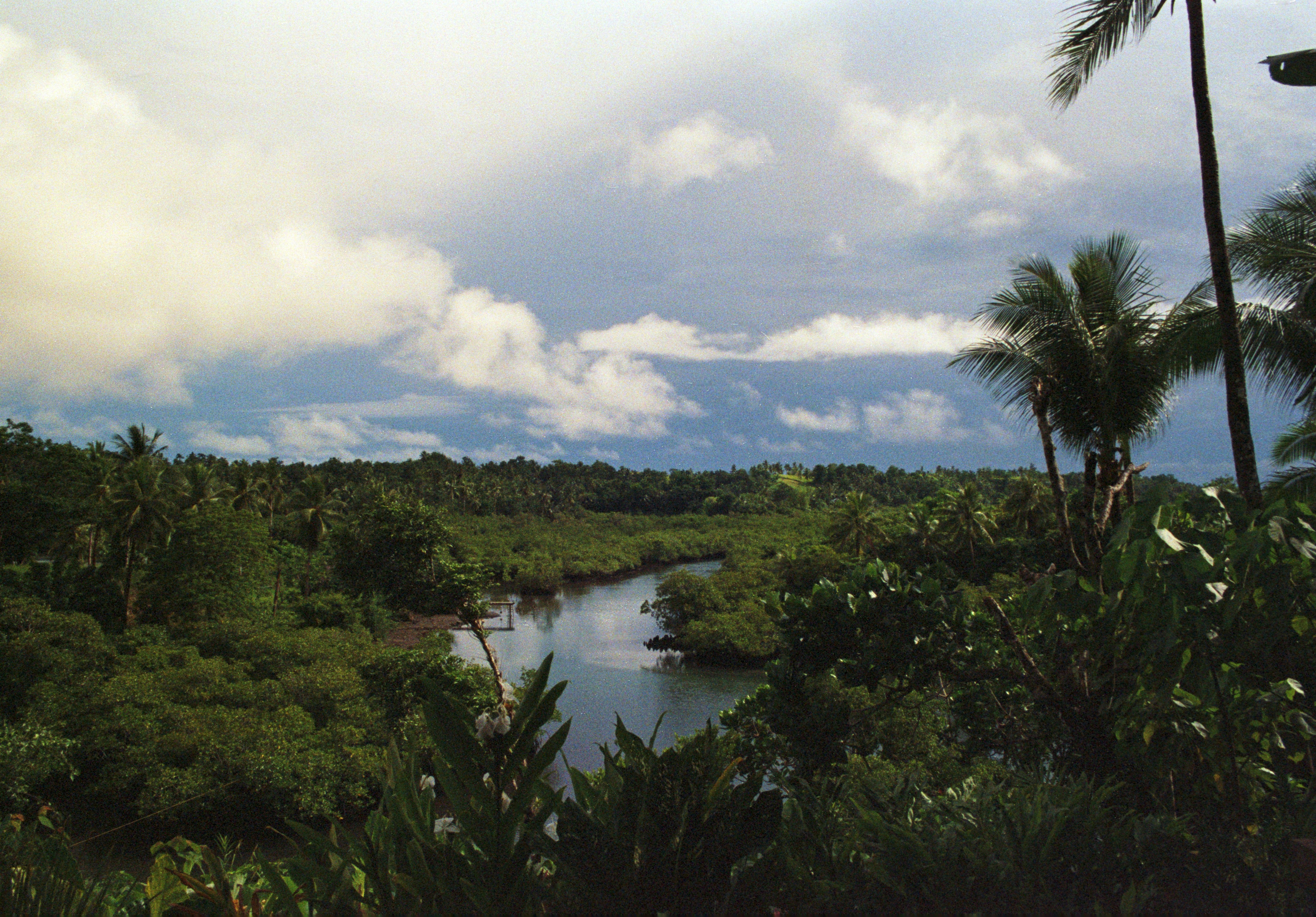 A river winds through lush, green vegetation.