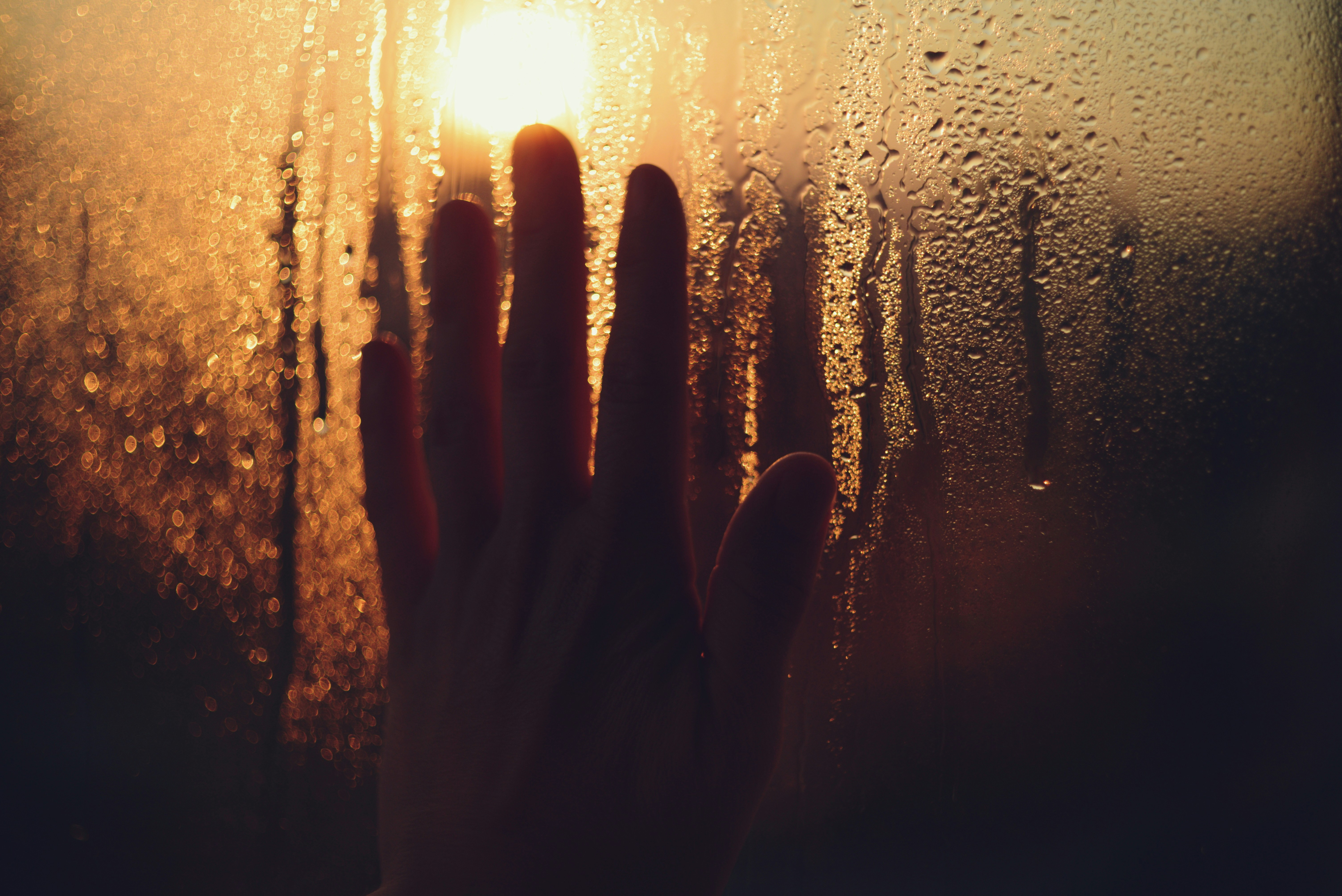 Hand touches a misty window with sunlight. photo – Free Experimental ...