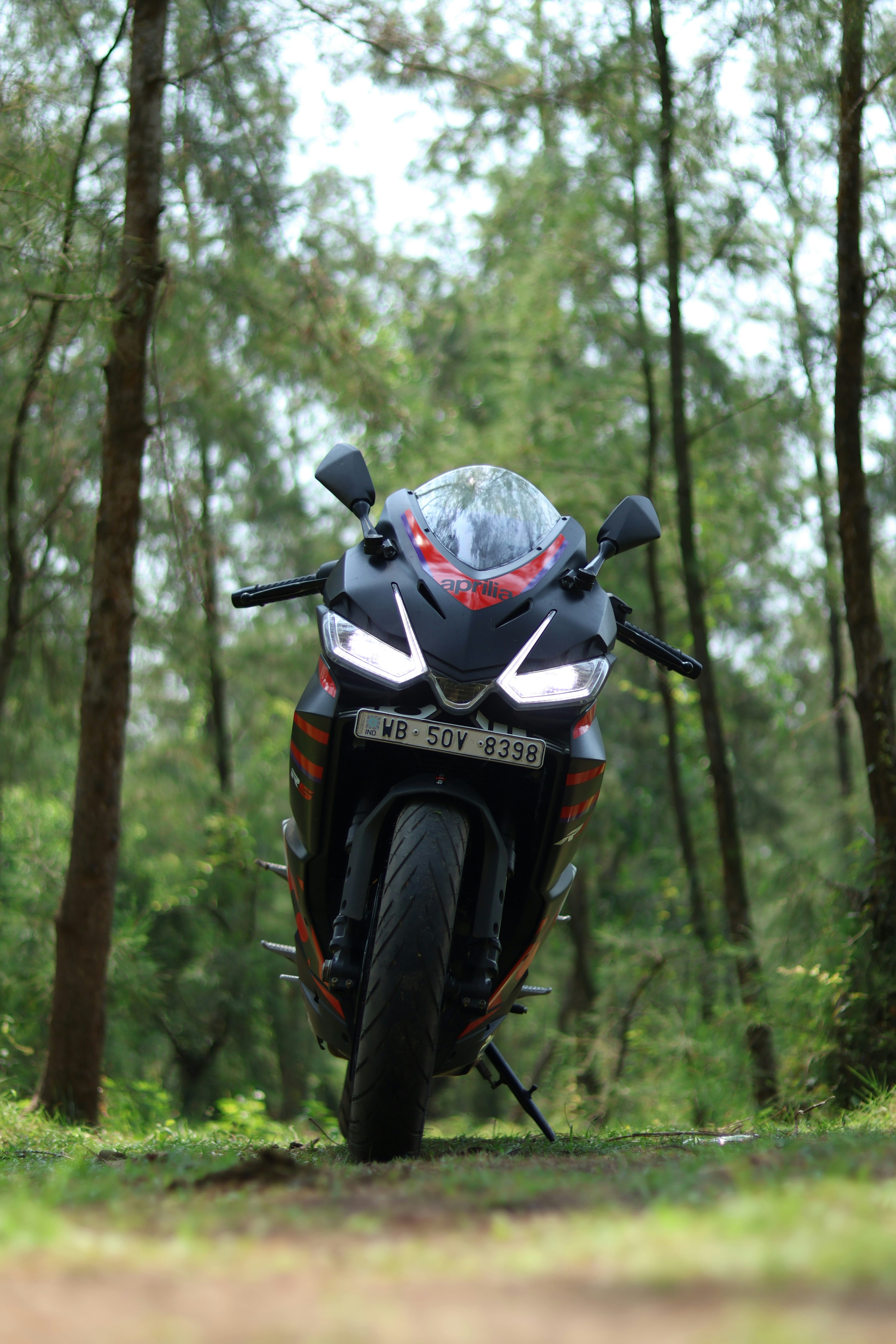 A motorcycle is parked in a forest.