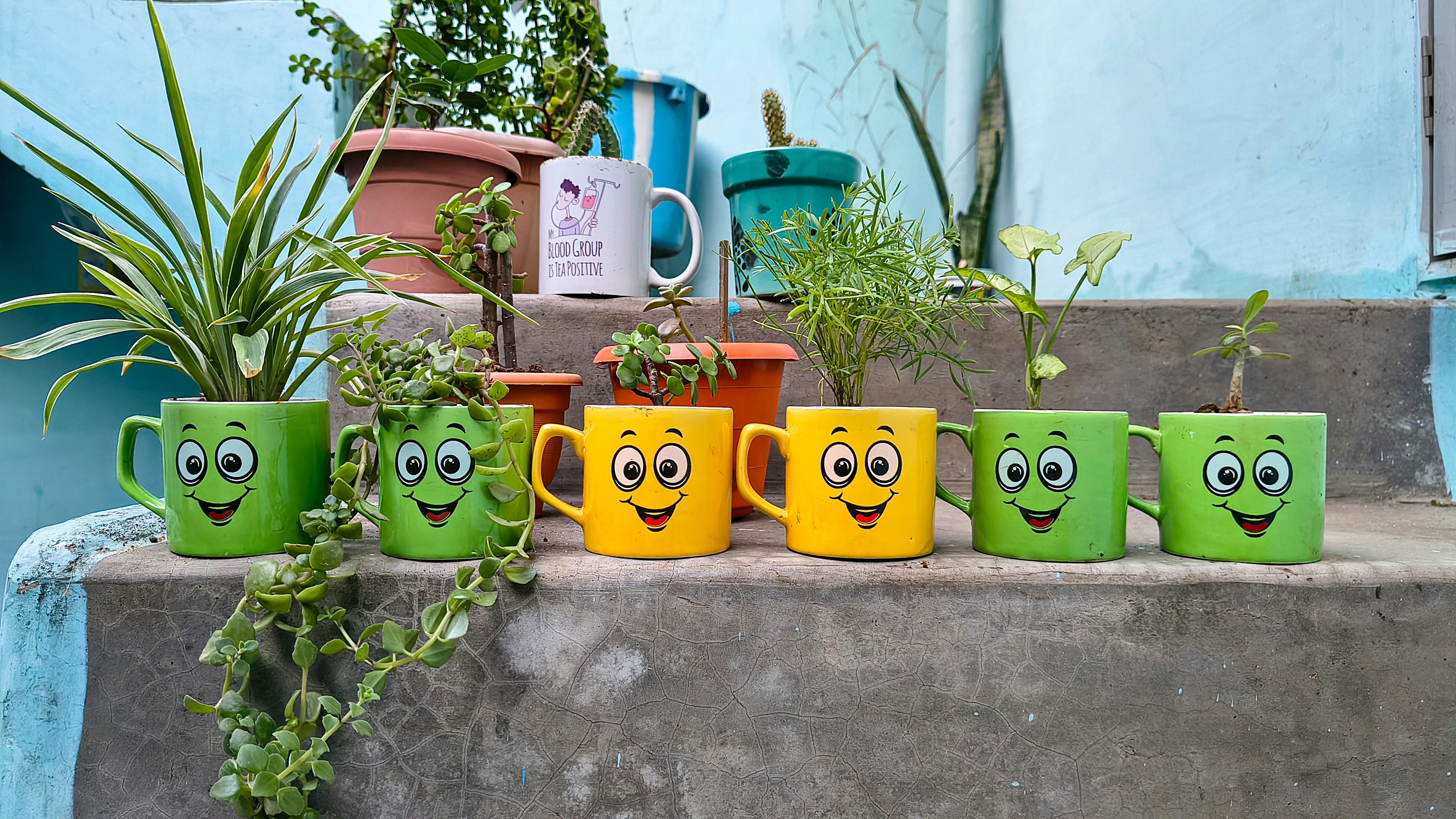 Sample photo from Motorola Edge 60 Fusion