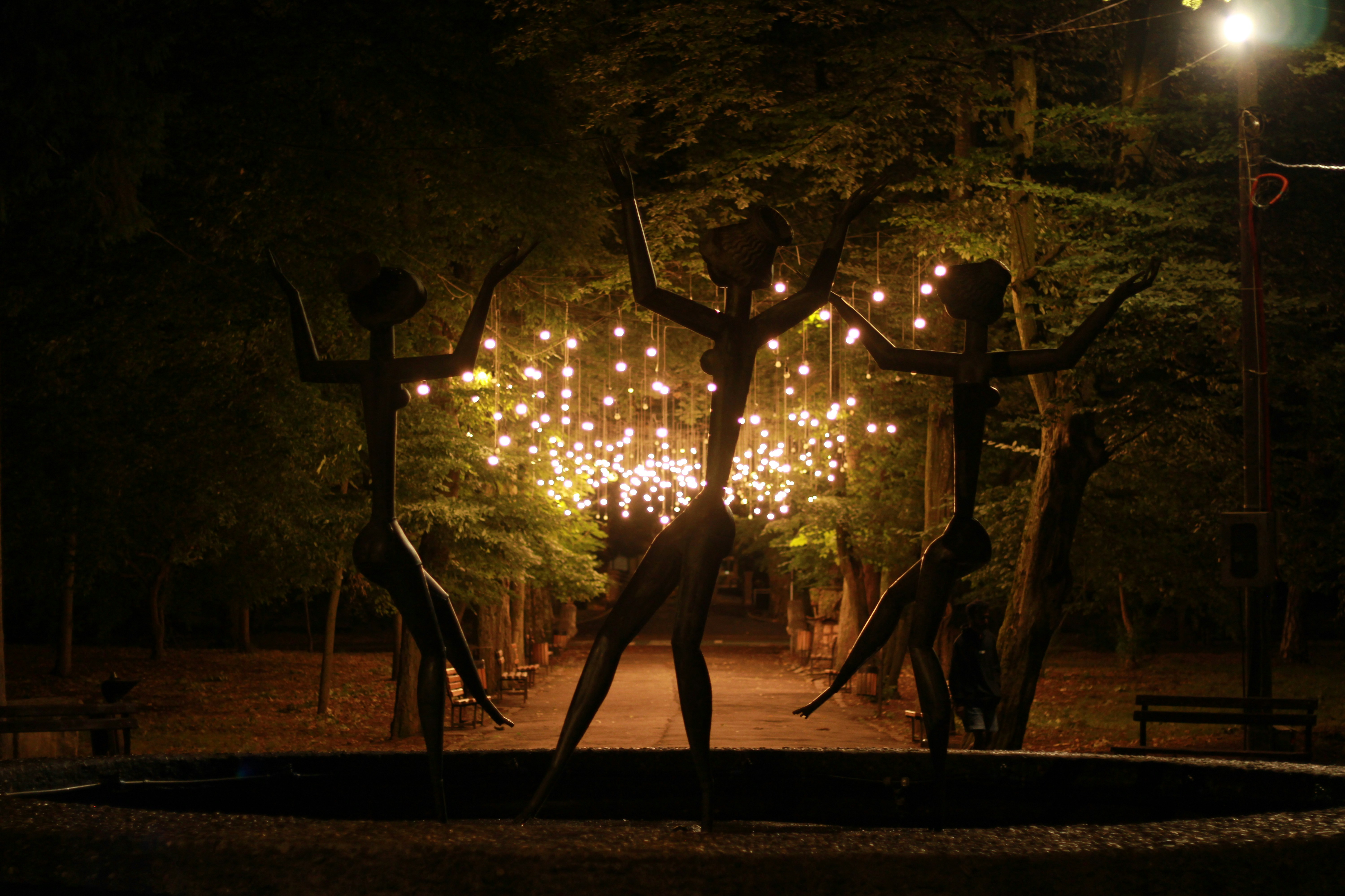 Dancing Shadows Under Twinkling Lights