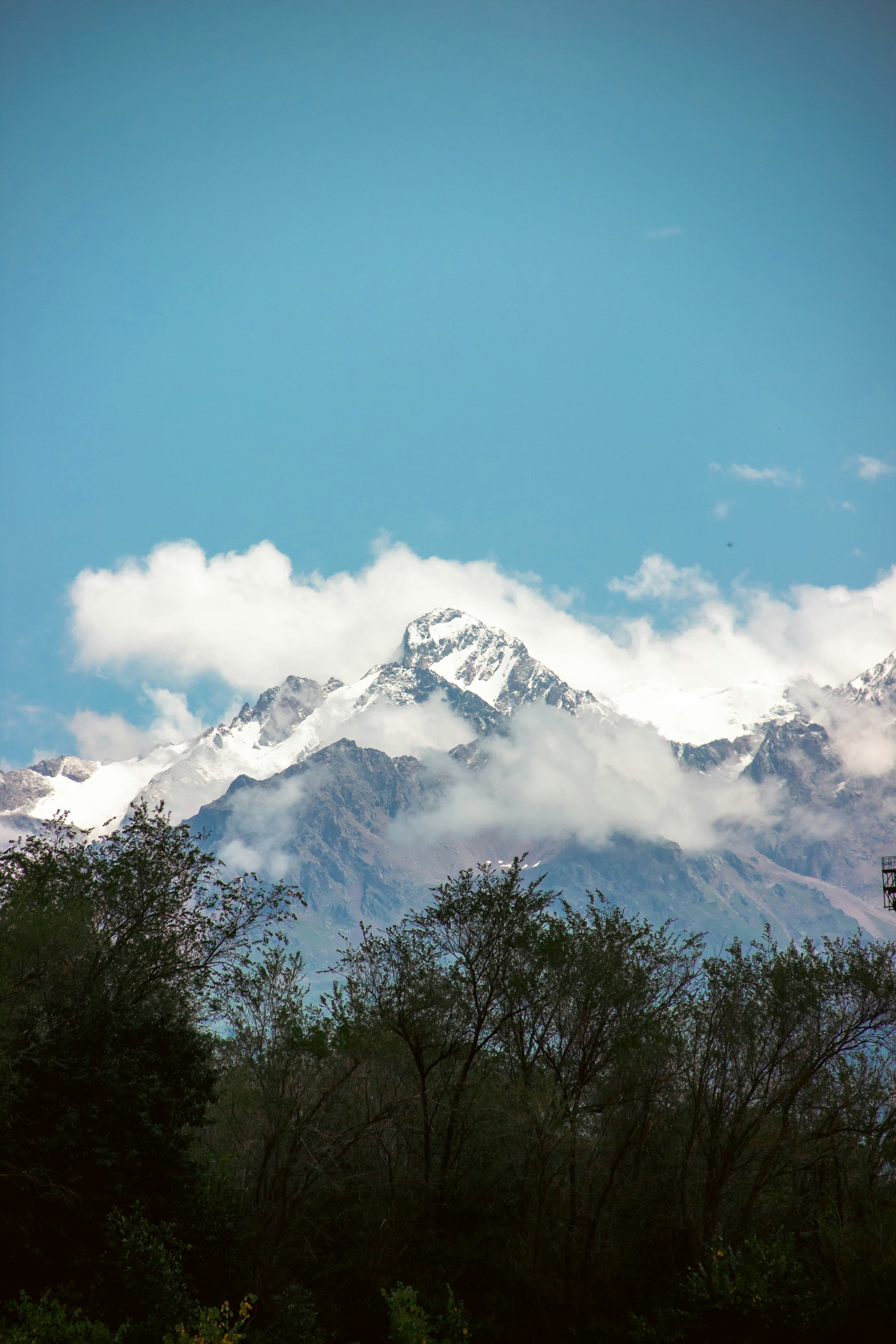Snowy mountains rise above the trees. photo – Free Forest Image on Unsplash