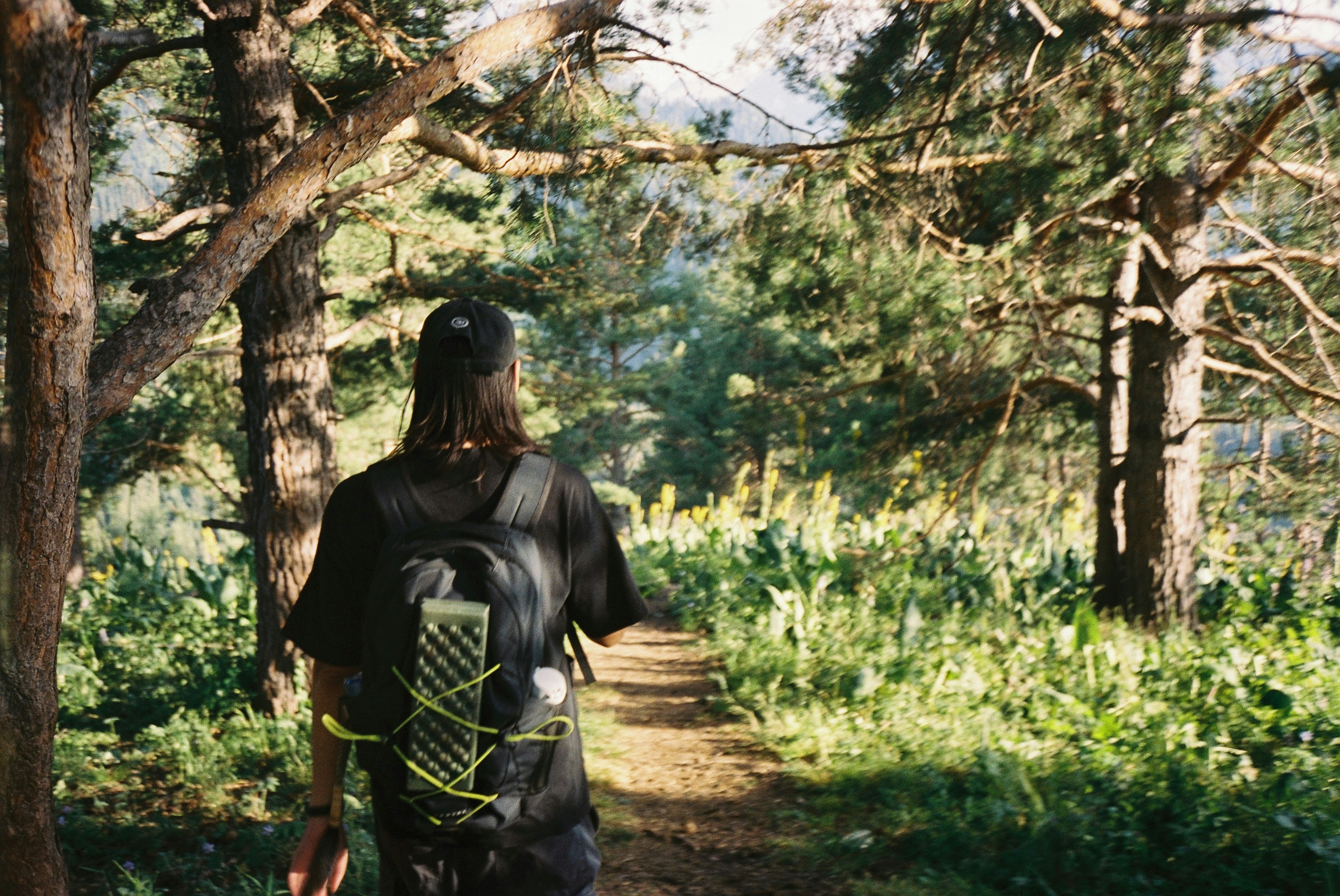 Wanderer in Nature's Embrace