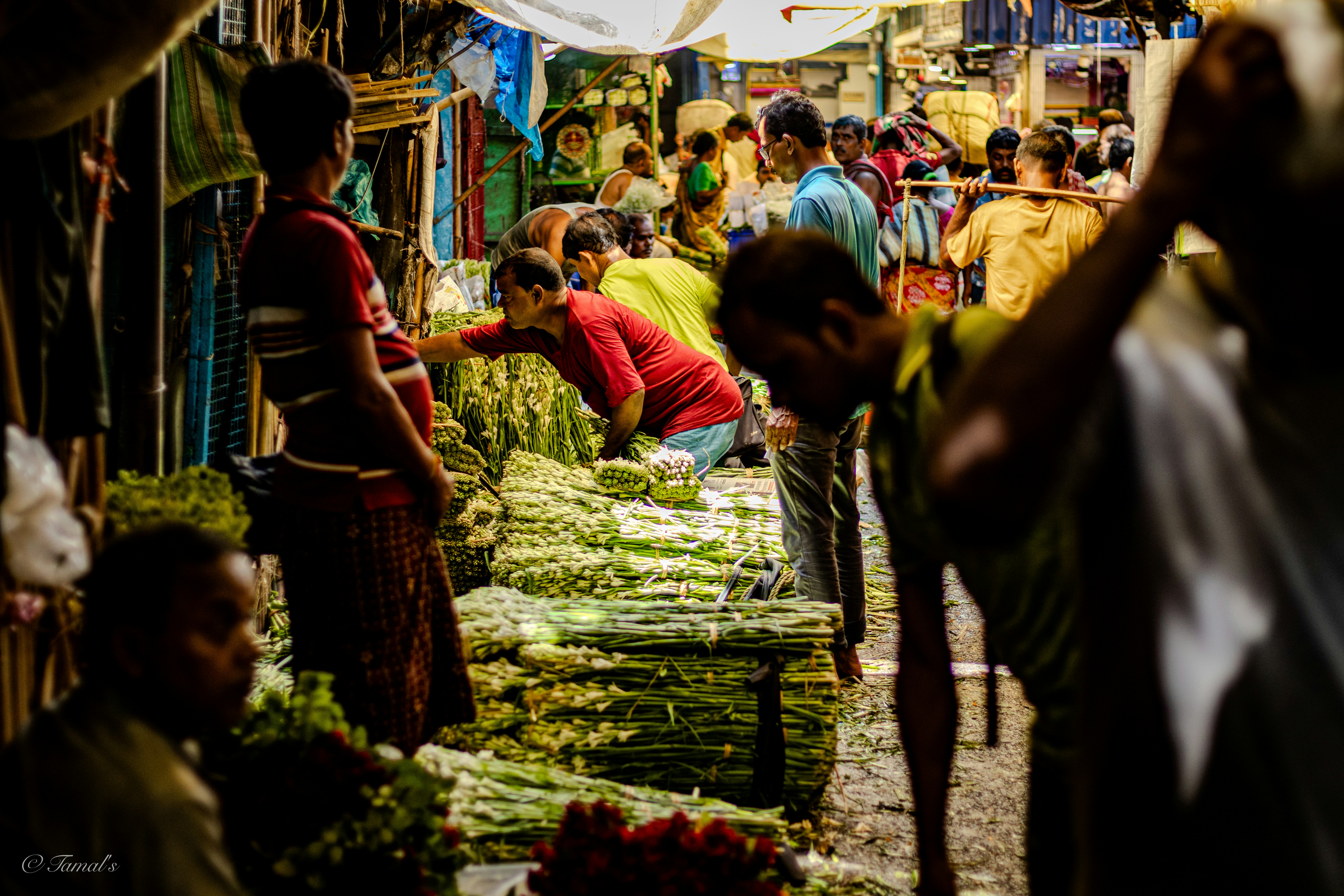 Vibrant Market Harmony: A Dance of Daily Life