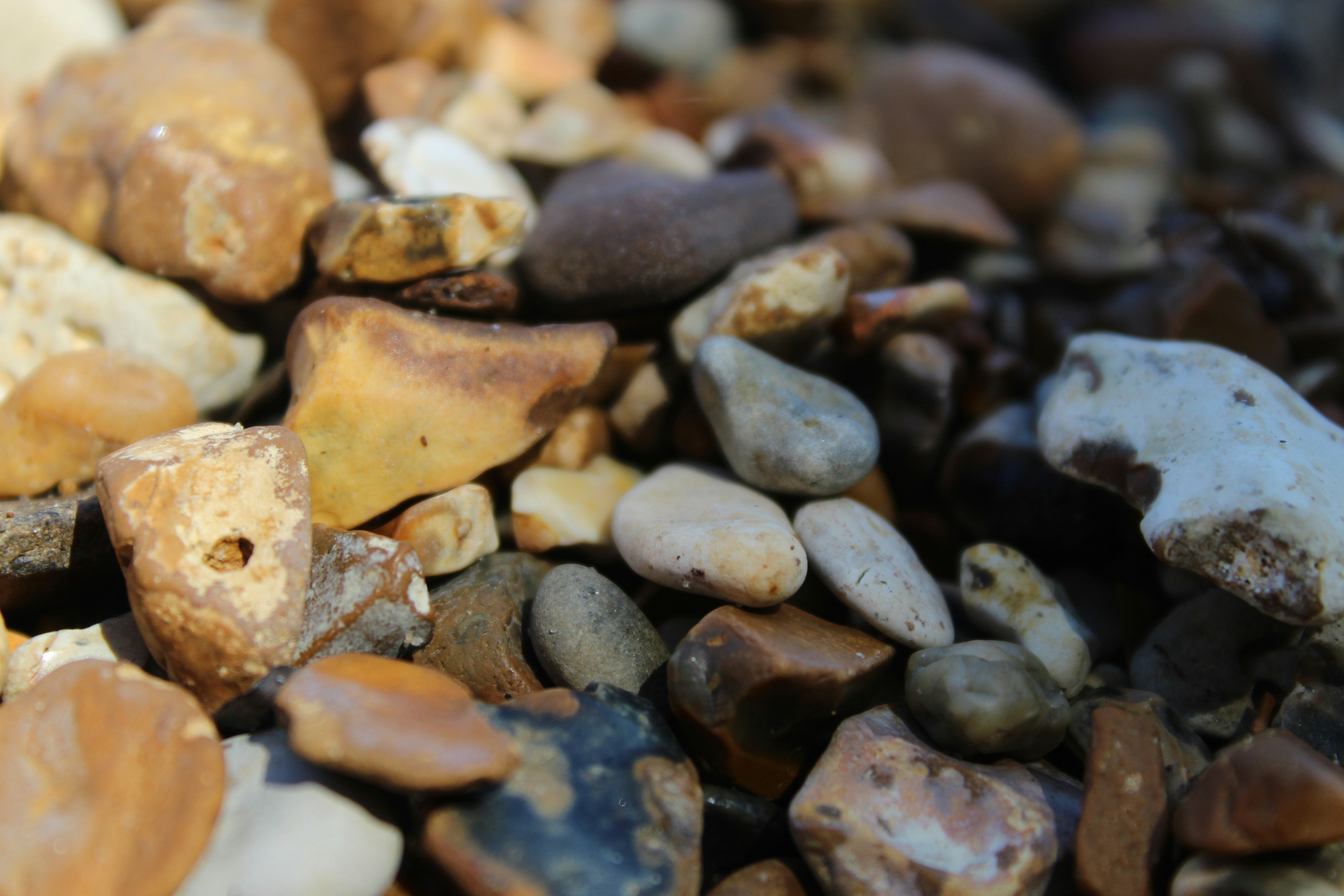 A close-up of colorful pebbles on the ground.