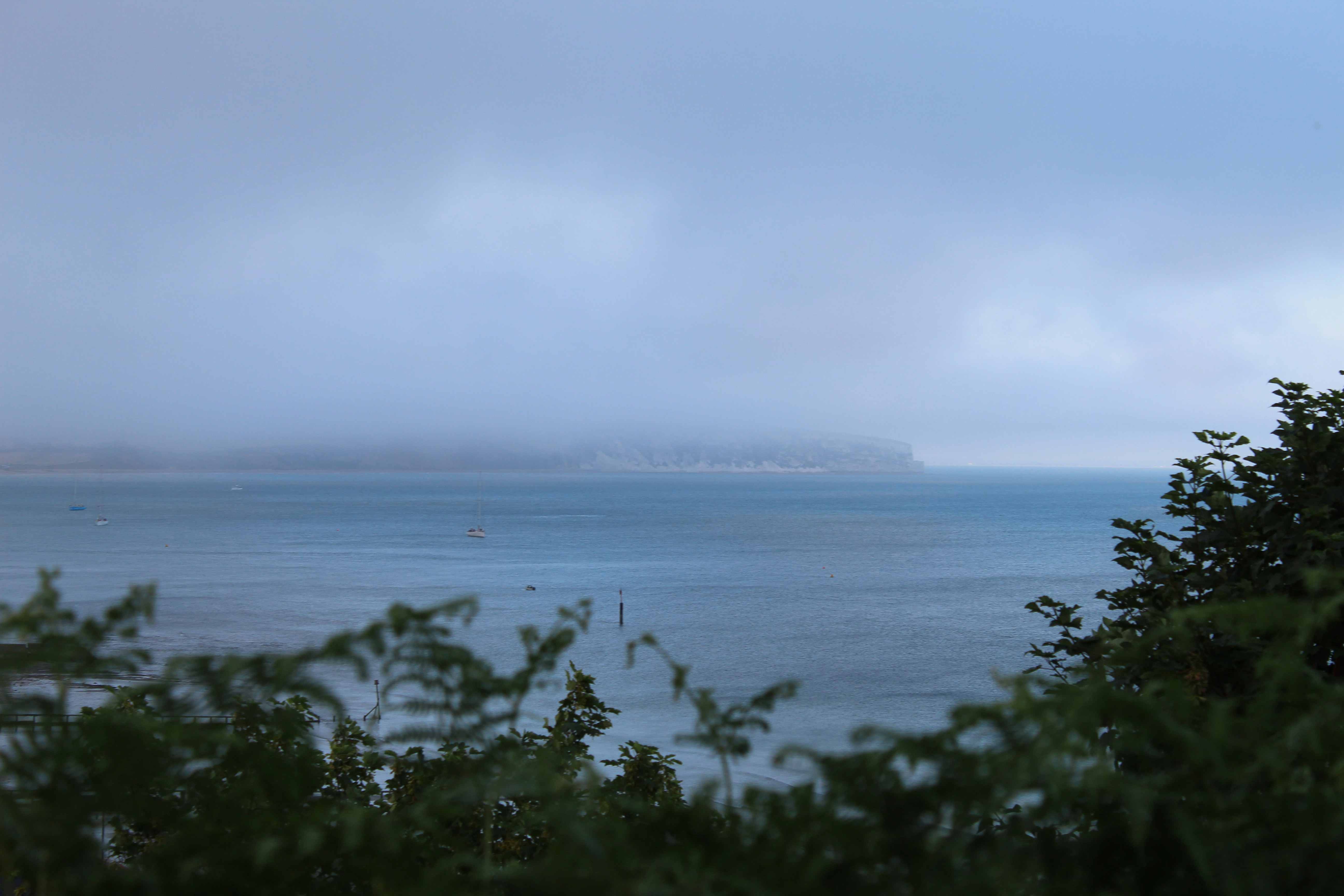 Fog envelops a tranquil seascape, with distant land barely visible through the haze. Lush greenery frames the foreground, adding depth to the serene view.