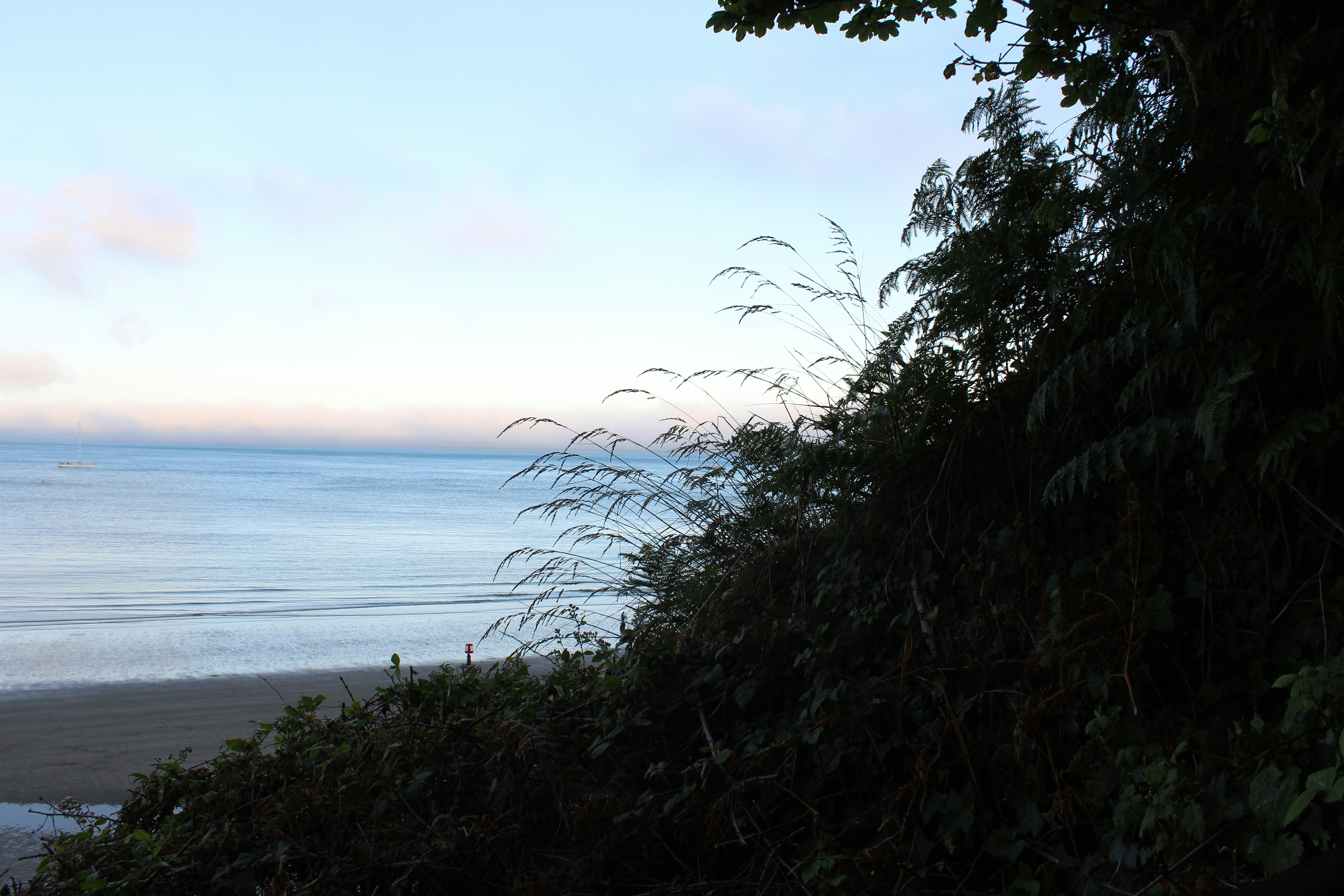 Serene coastal view with gentle waves lapping at the sandy beach, framed by lush greenery. The early morning sky casts a soft light over the tranquil scene.