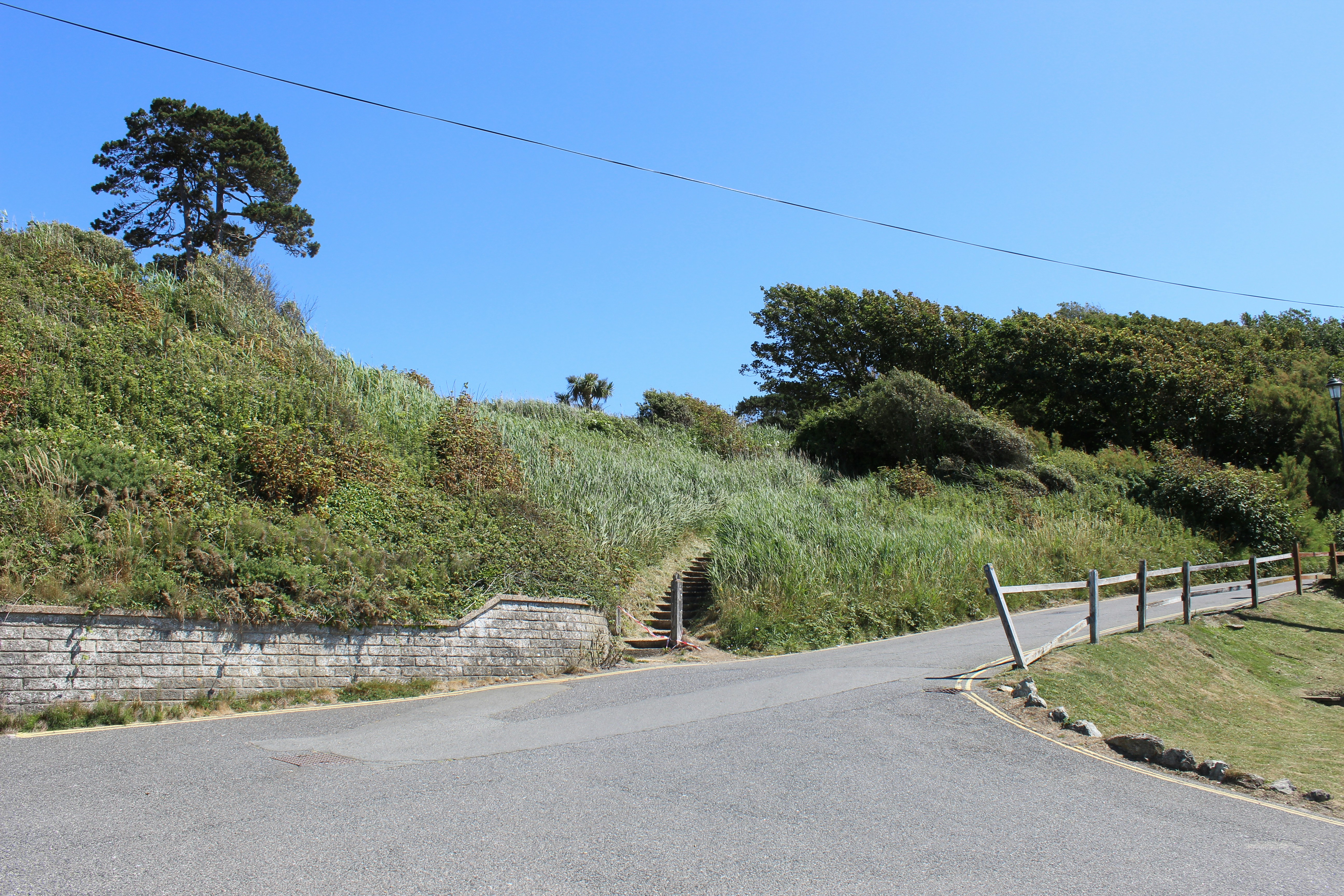 Sunlit Staircase Up a Green Ridge by a Quiet Road