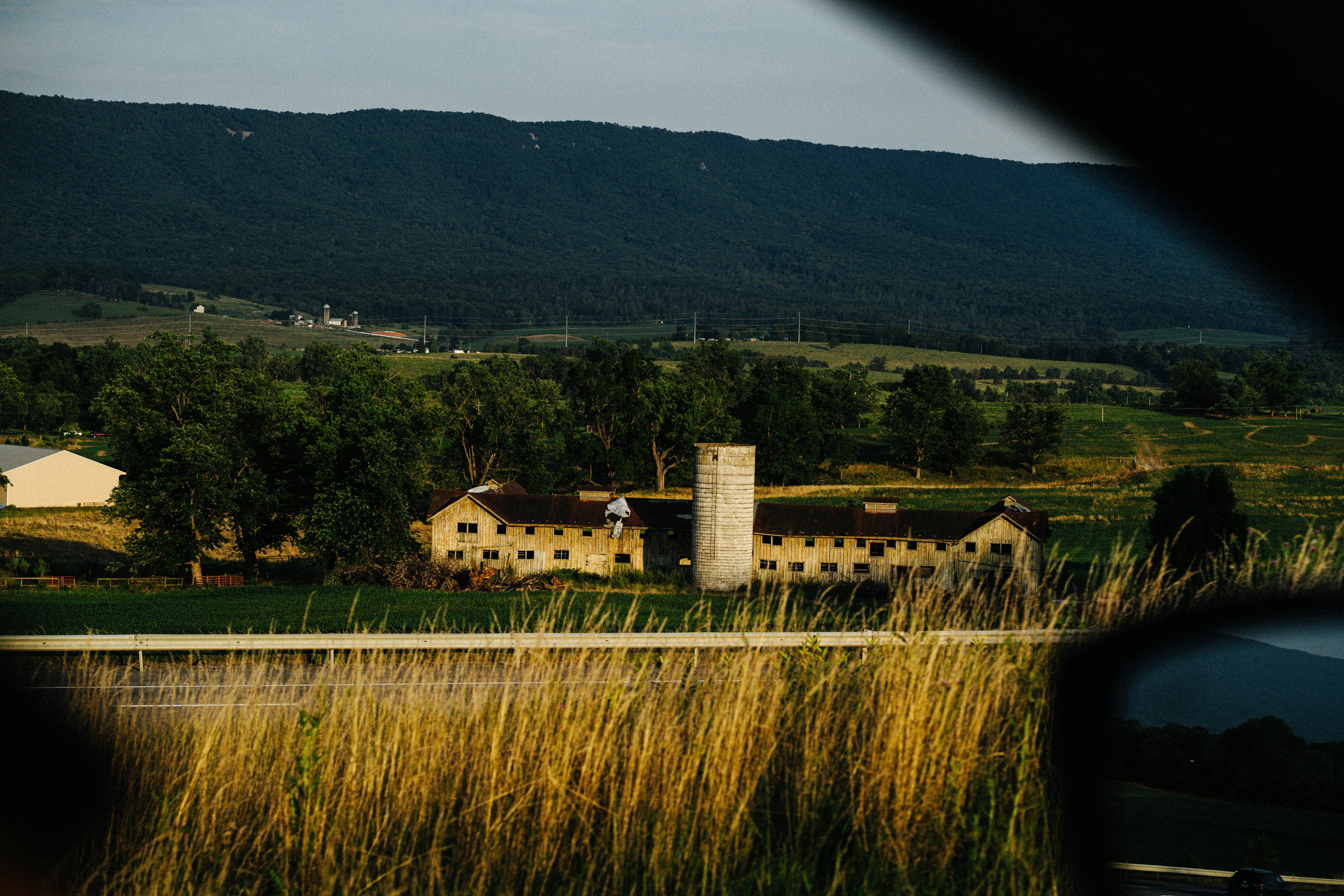 Silo Sentinel Over a Quiet Farm Horizon