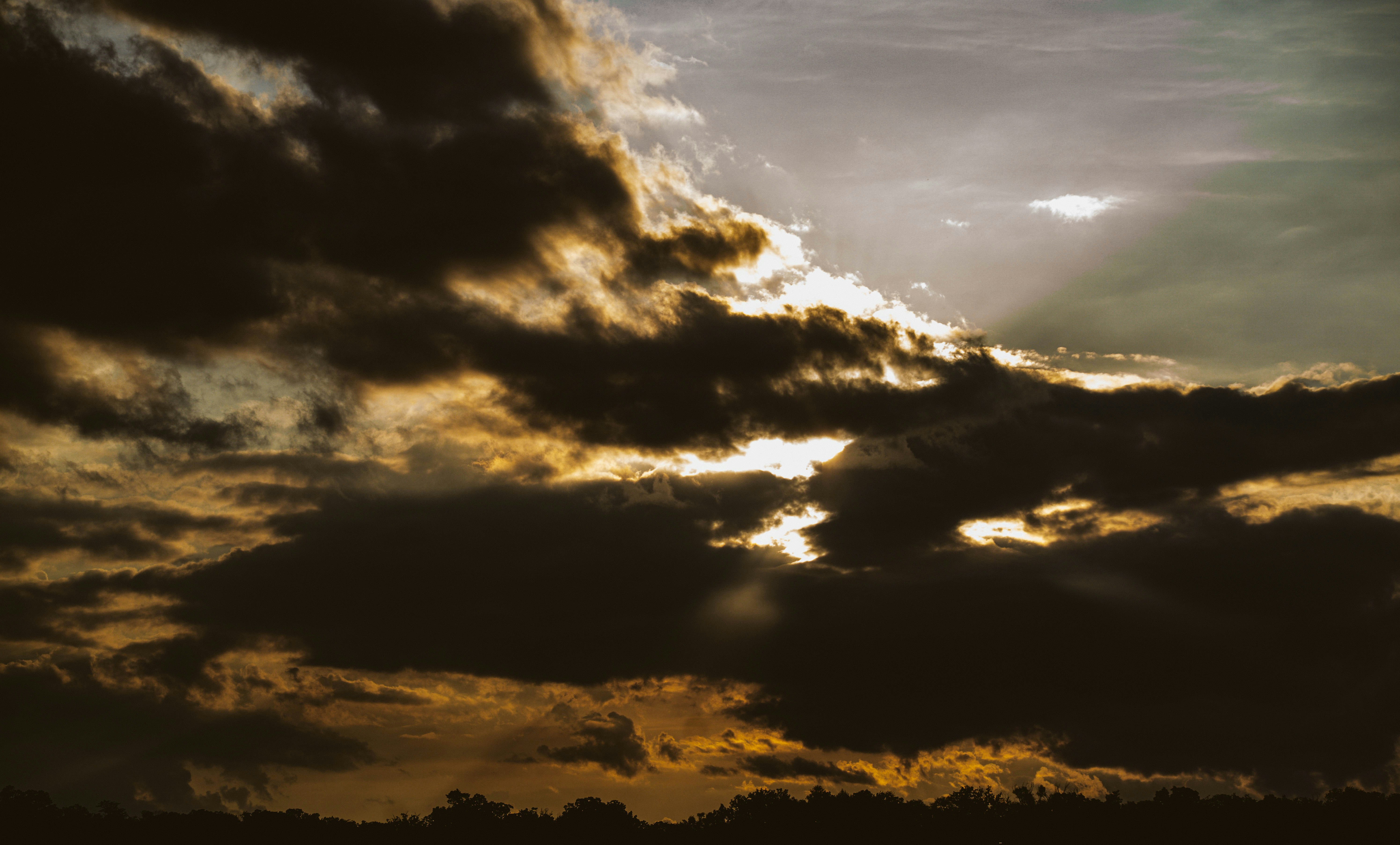 Photo by Janay Peters with Sony Alpha 7 III