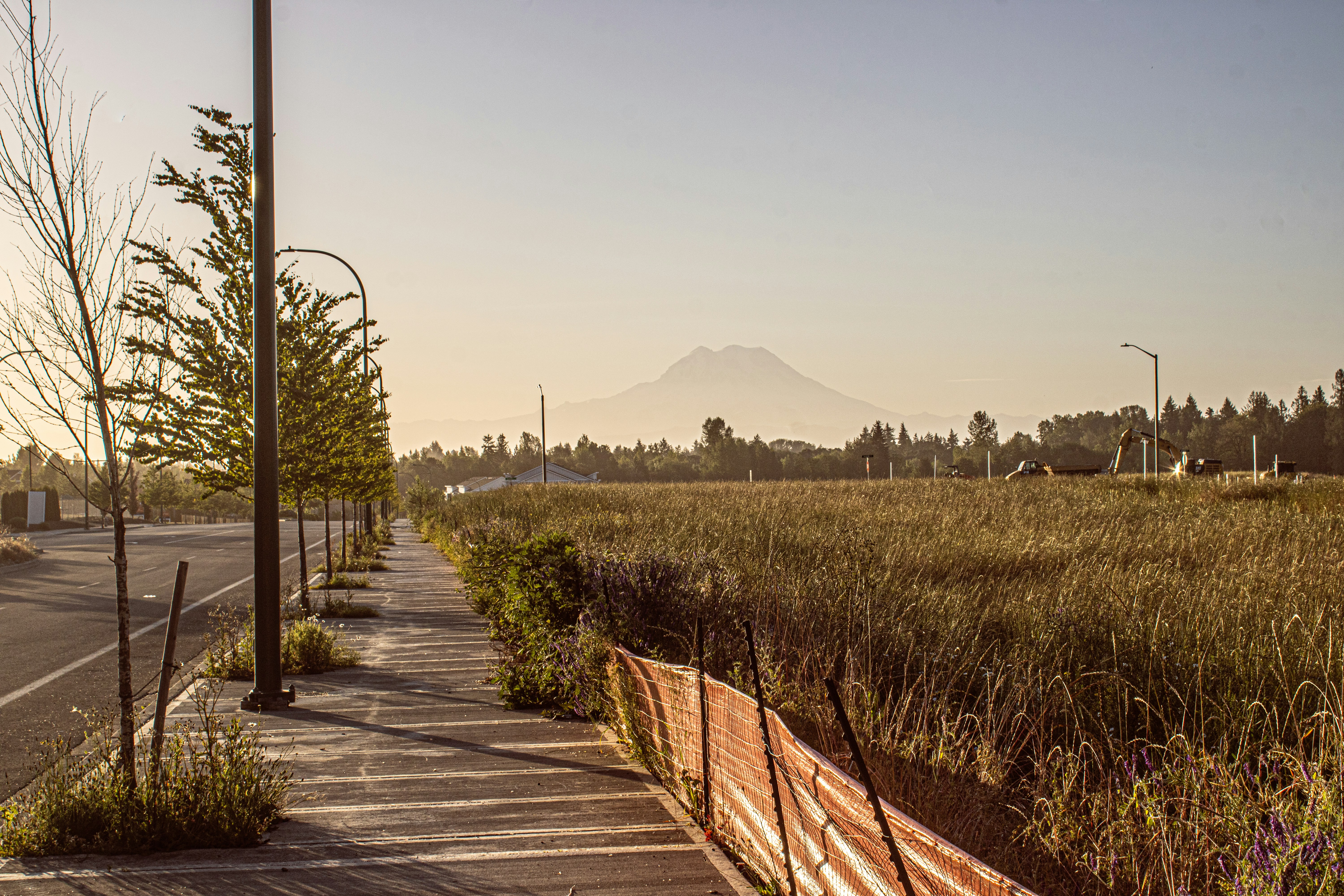 Whispers of Dawn: A Pathway to Serenity