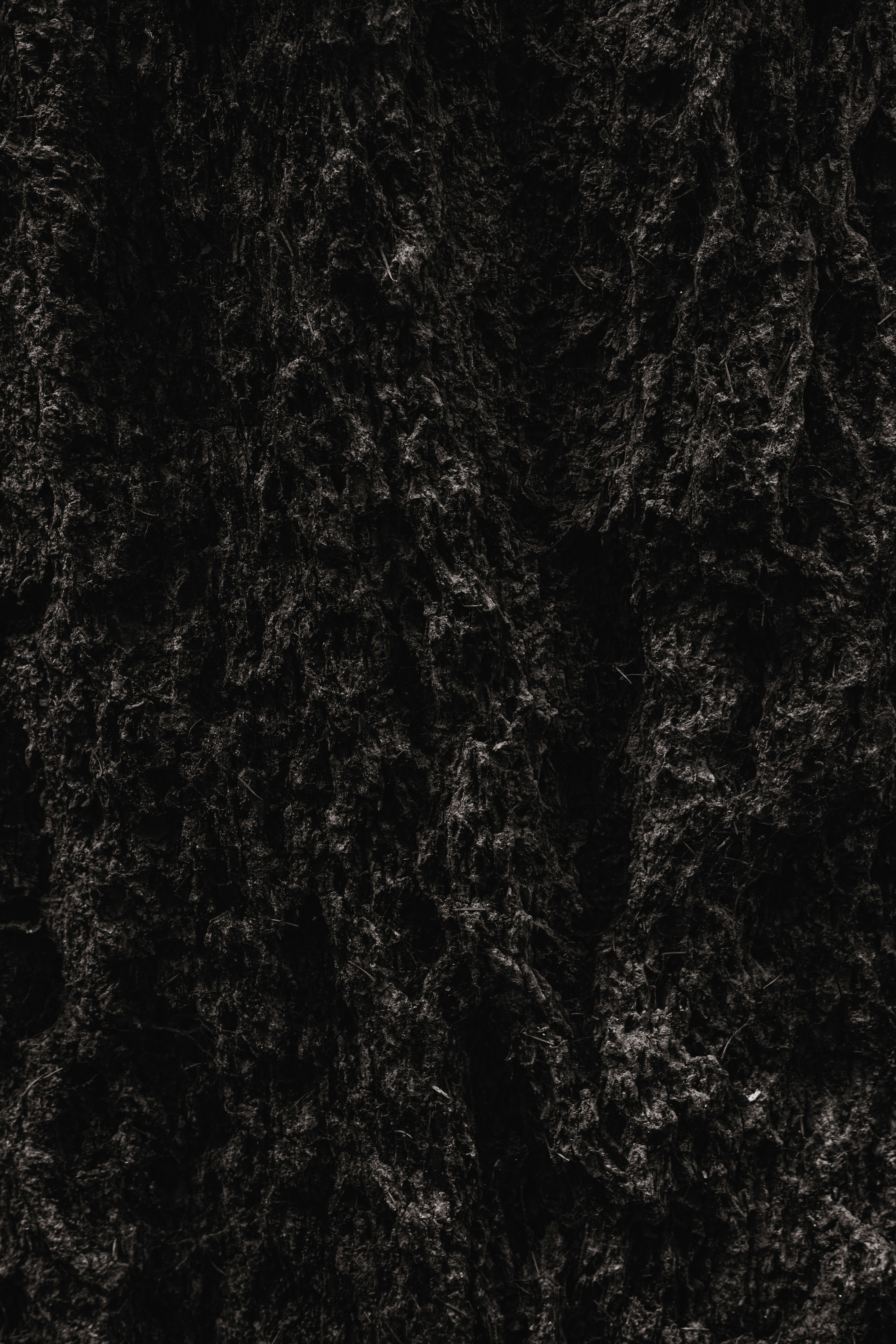 Black, textured surface with a natural appearance.