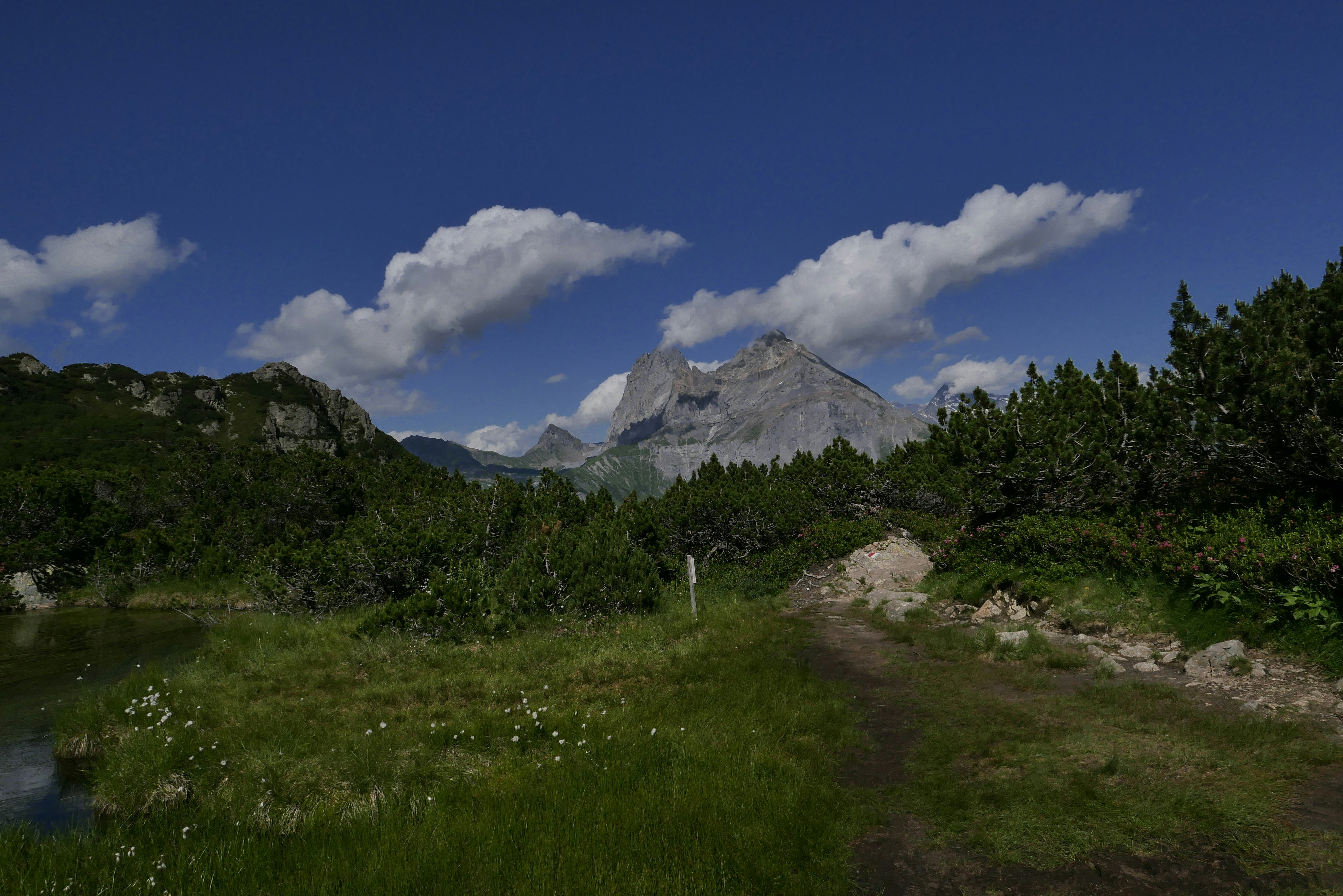 Whispers of the Alpine Trail