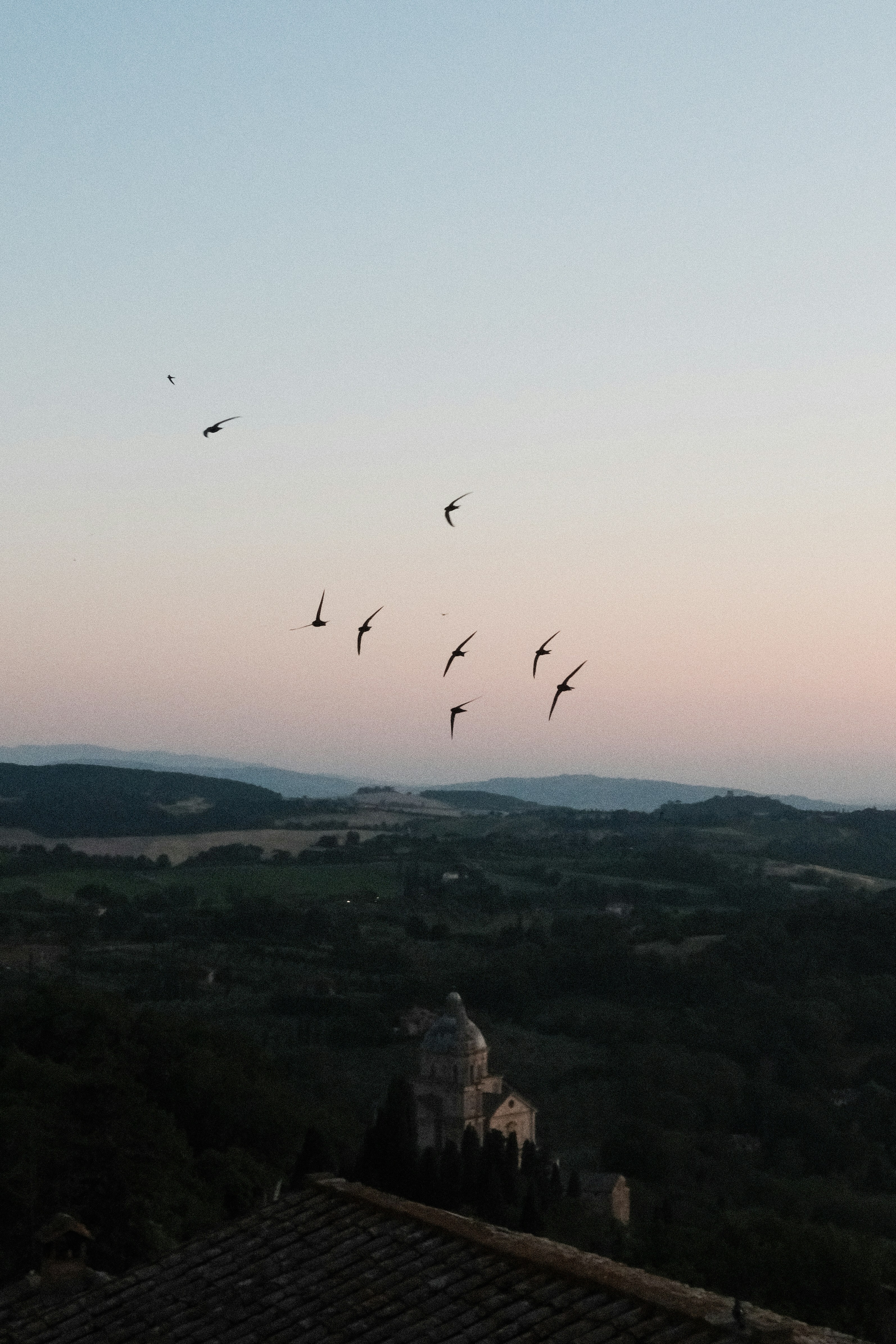A flock of swifts gracefully soaring above a serene Italian landscape at twilight, with a historic church nestled in the valley below.